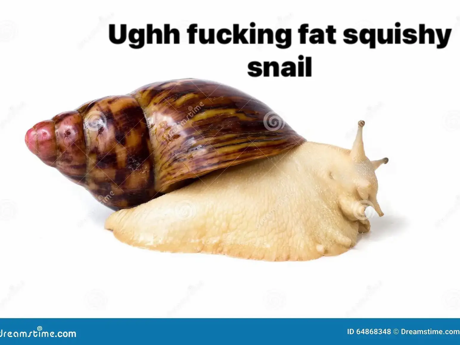 I LOVE FAT SNAILS | Gallery posted by Squishy slug | Lemon8