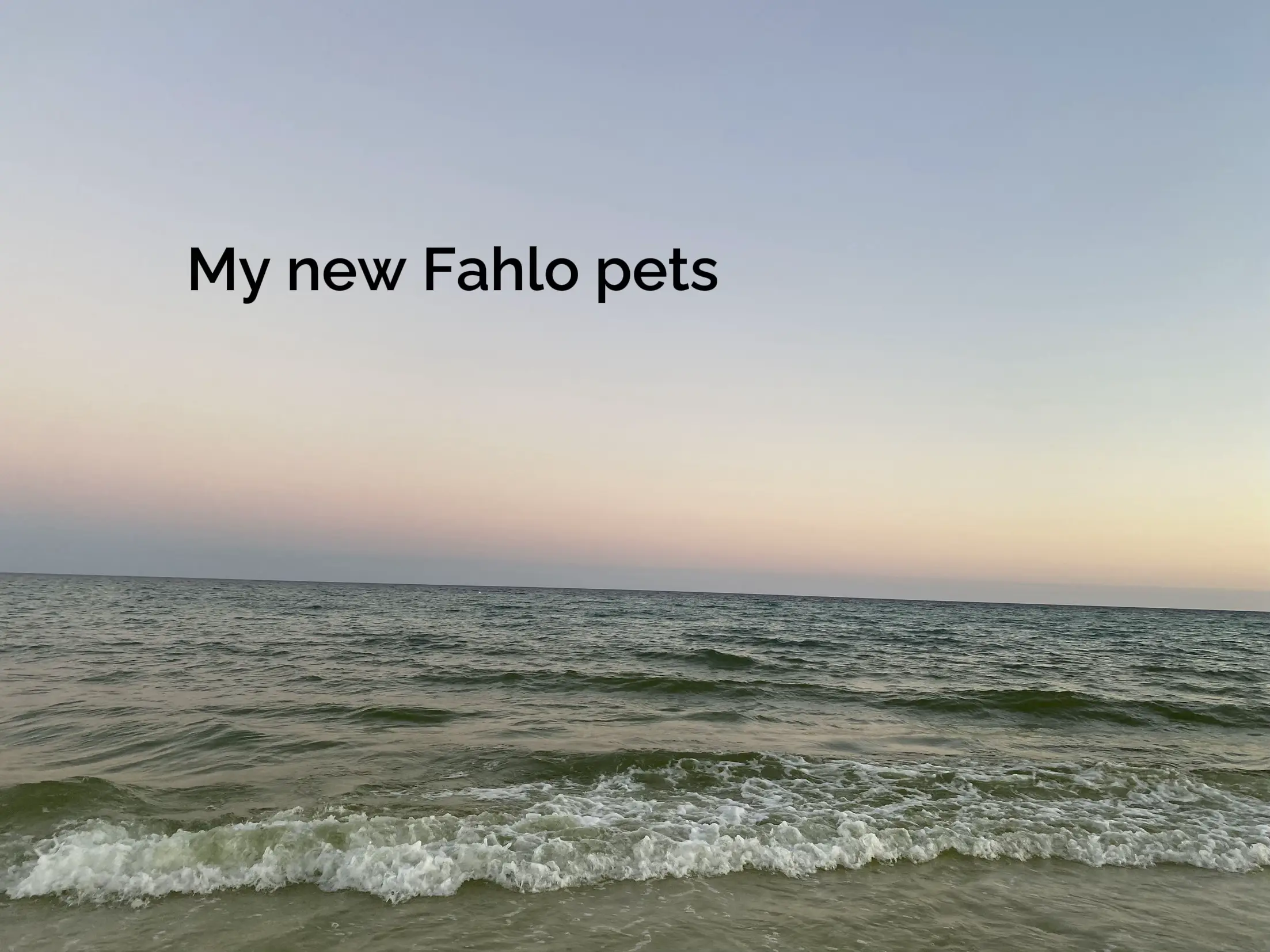 Fahlo Qr Codes - Lemon8 Search