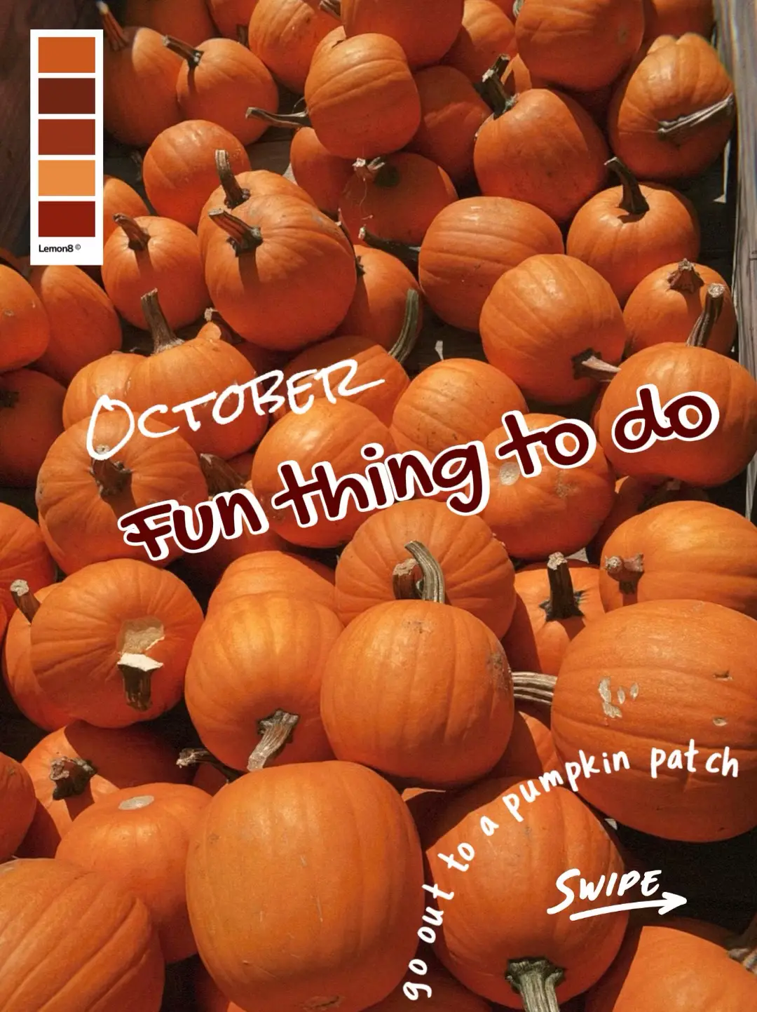 October Fun Thing to Do! | Gallery posted by MAG$ | Lemon8