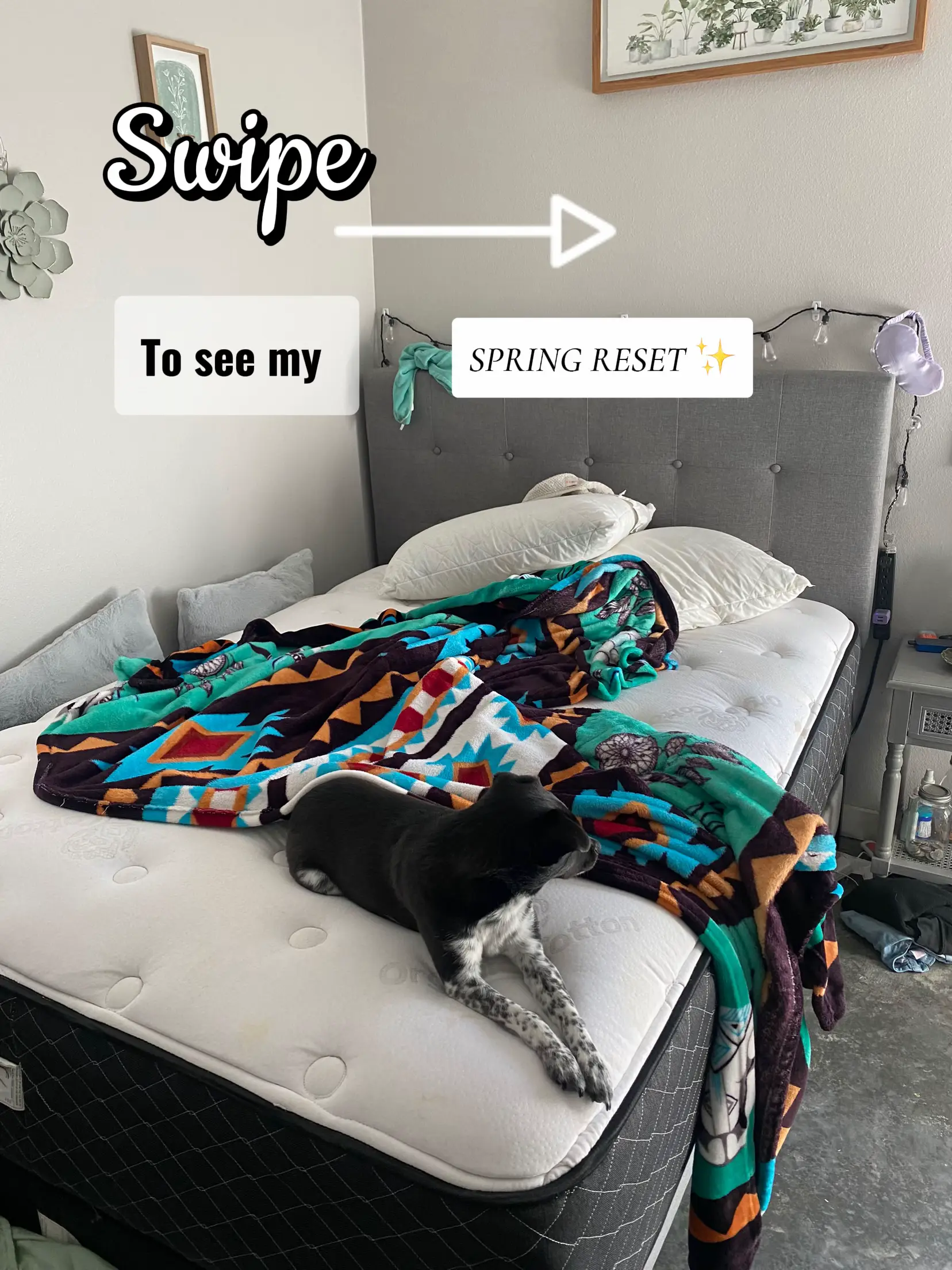 My SPRING RESET starts today! | Gallery posted by Ki Miller 👋🏻 | Lemon8