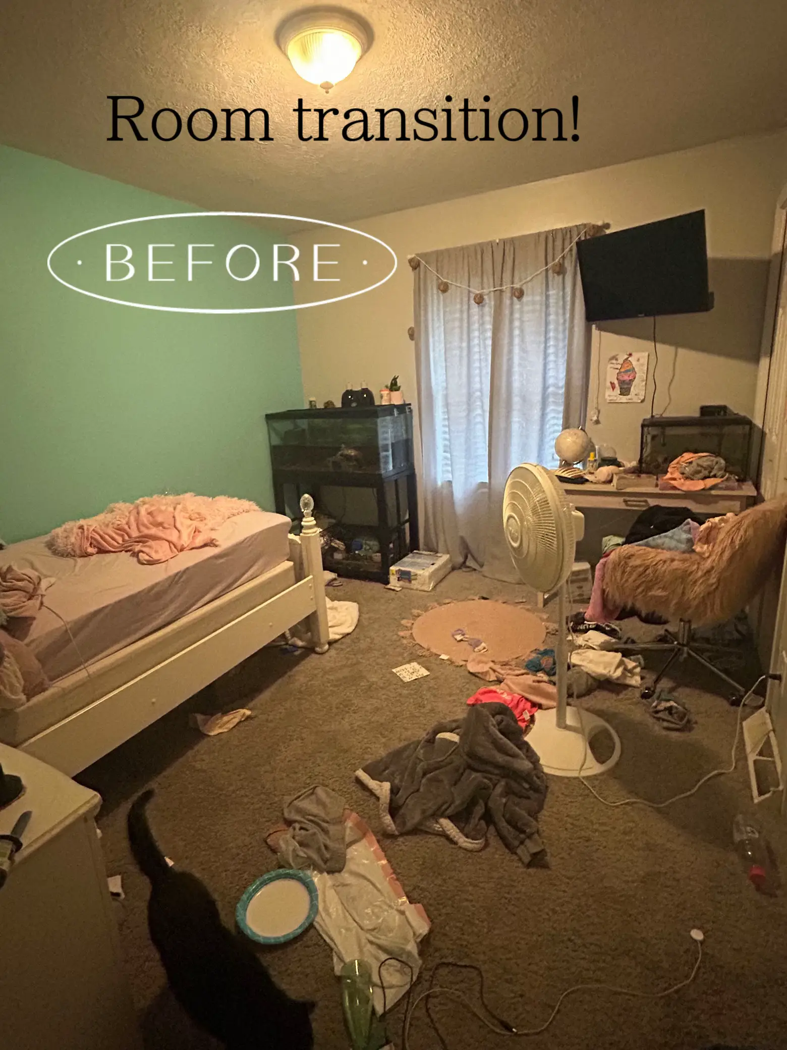 Room transition! | Gallery posted by Kyleigh.lemon8 | Lemon8