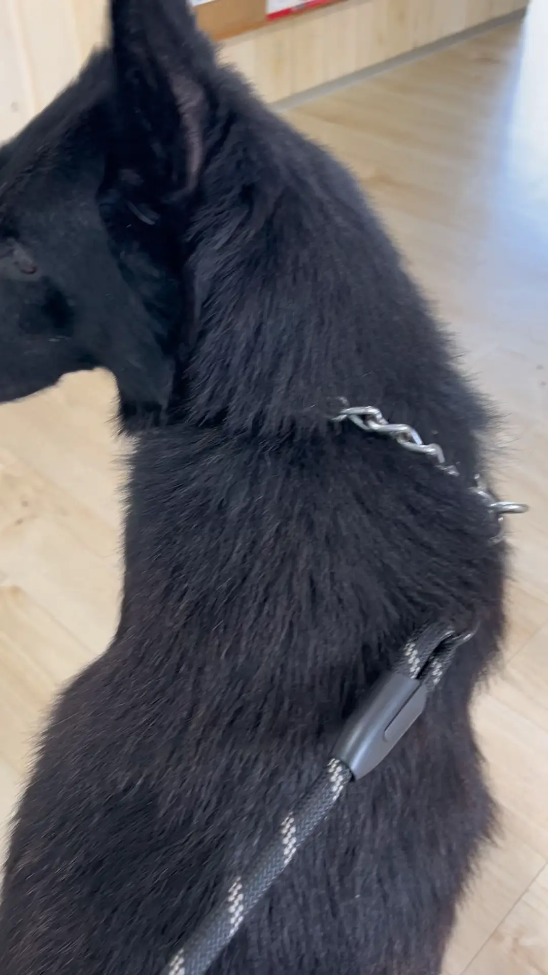 🏥 | hiroの投稿動画 | Lemon8