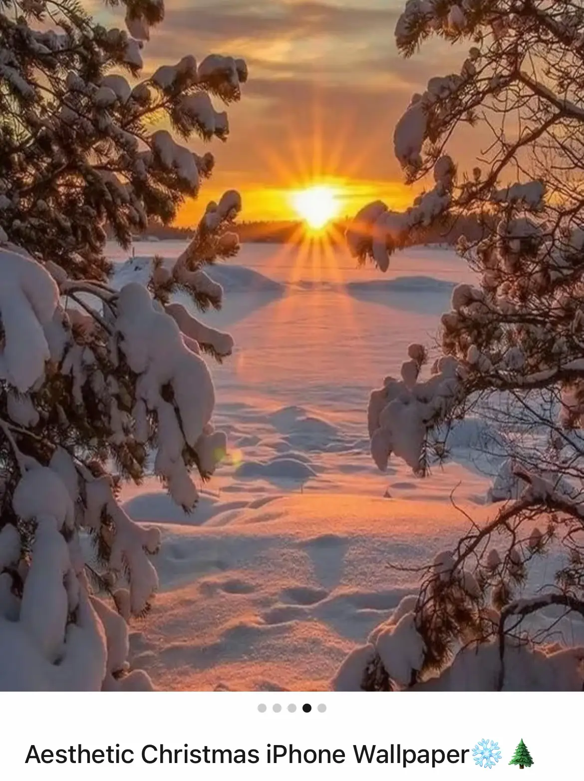 Cute iPhone wallpapers | Gallery posted by Brielle Simpson | Lemon8