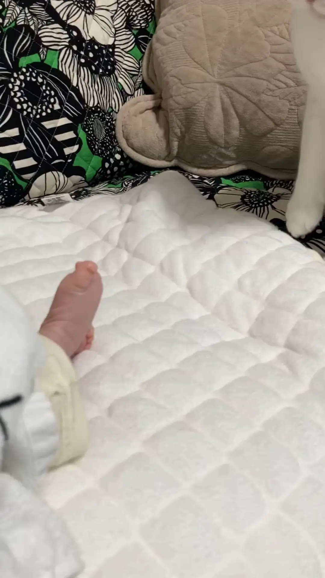 ทารกกลับบ้านเกิดขึ้น ~ | วิดีโอที่เผยแพร่โดย fooko | Lemon8