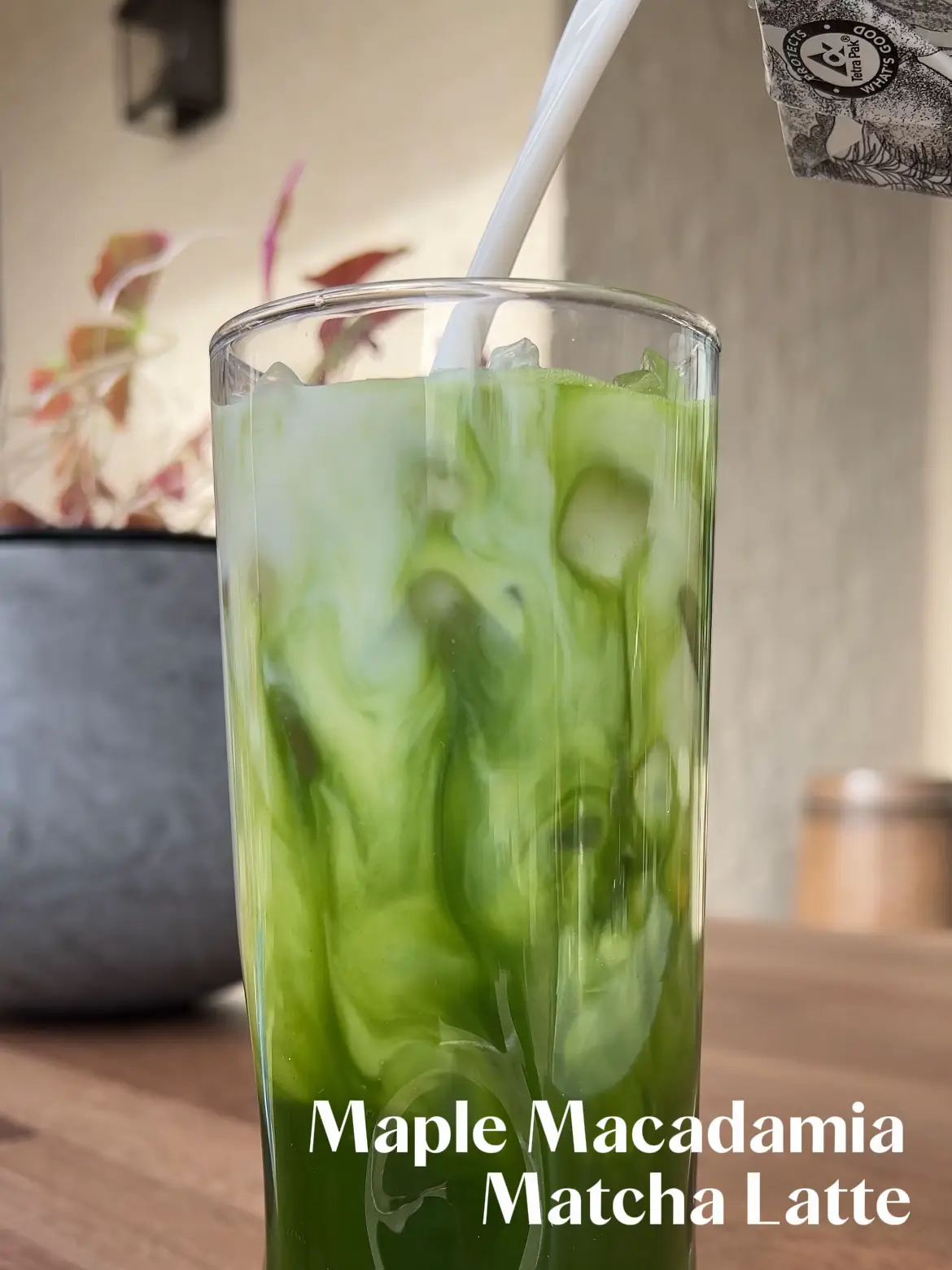 Maple Macadamia Matcha Latte 🍁 | Video published by Rae Leach MS RD | Lemon8