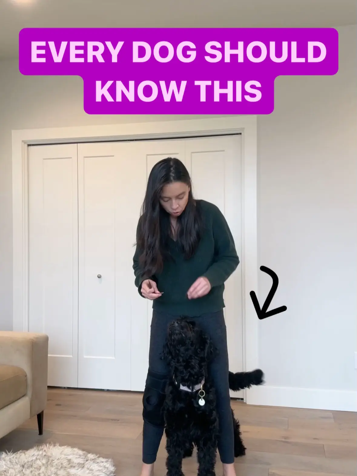 Every dog should know this🫶 | Video published by Rachel Fusaro🐶 | Lemon8