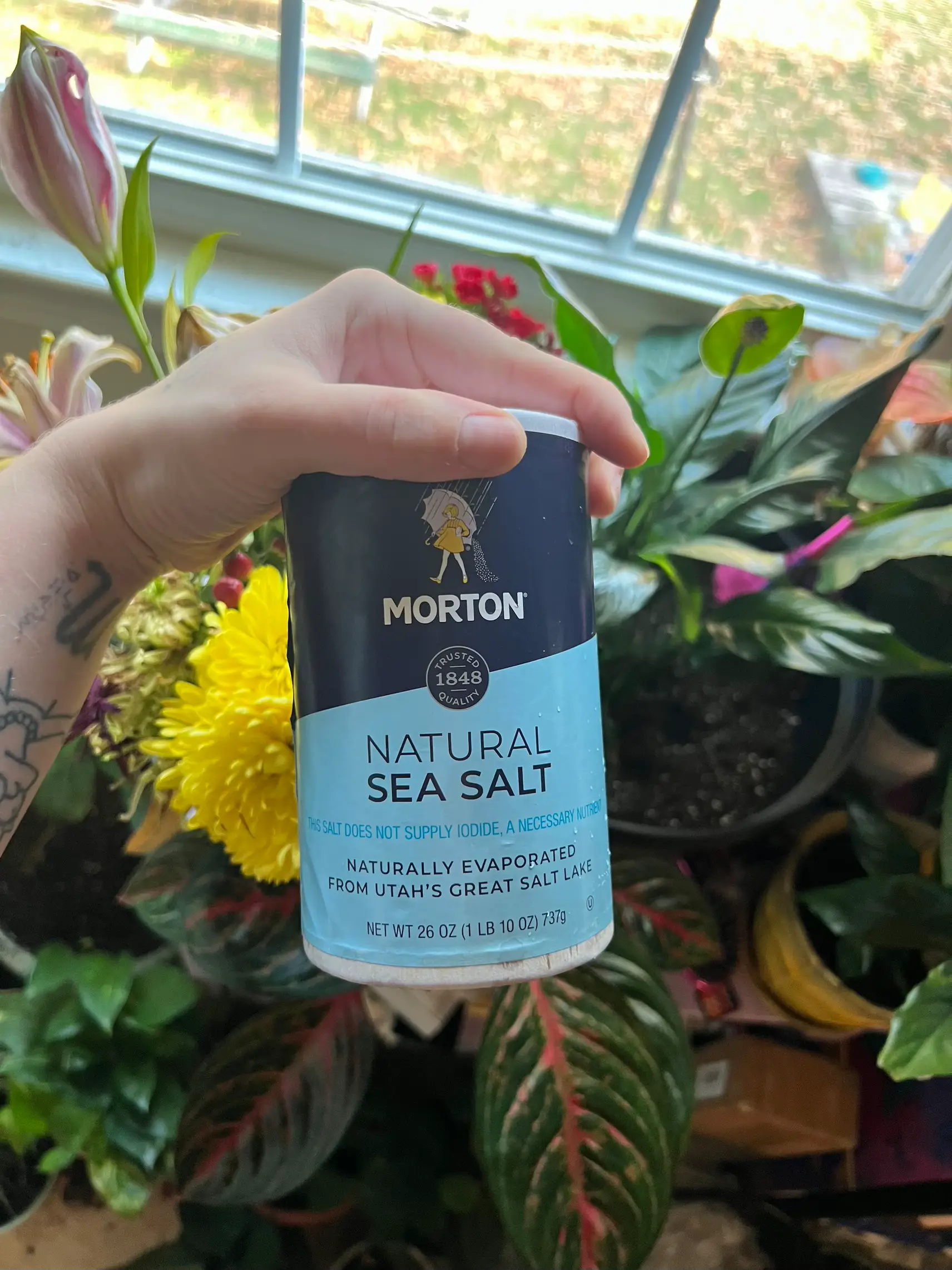 🪞How I Keep Glass Crystal Clear!! | daniisanが投稿したフォトブック | Lemon8