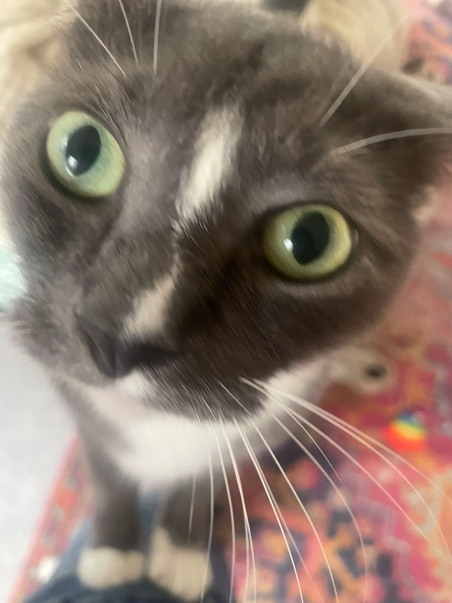 June Dump😌 | Gallery posted by gianna chaney | Lemon8