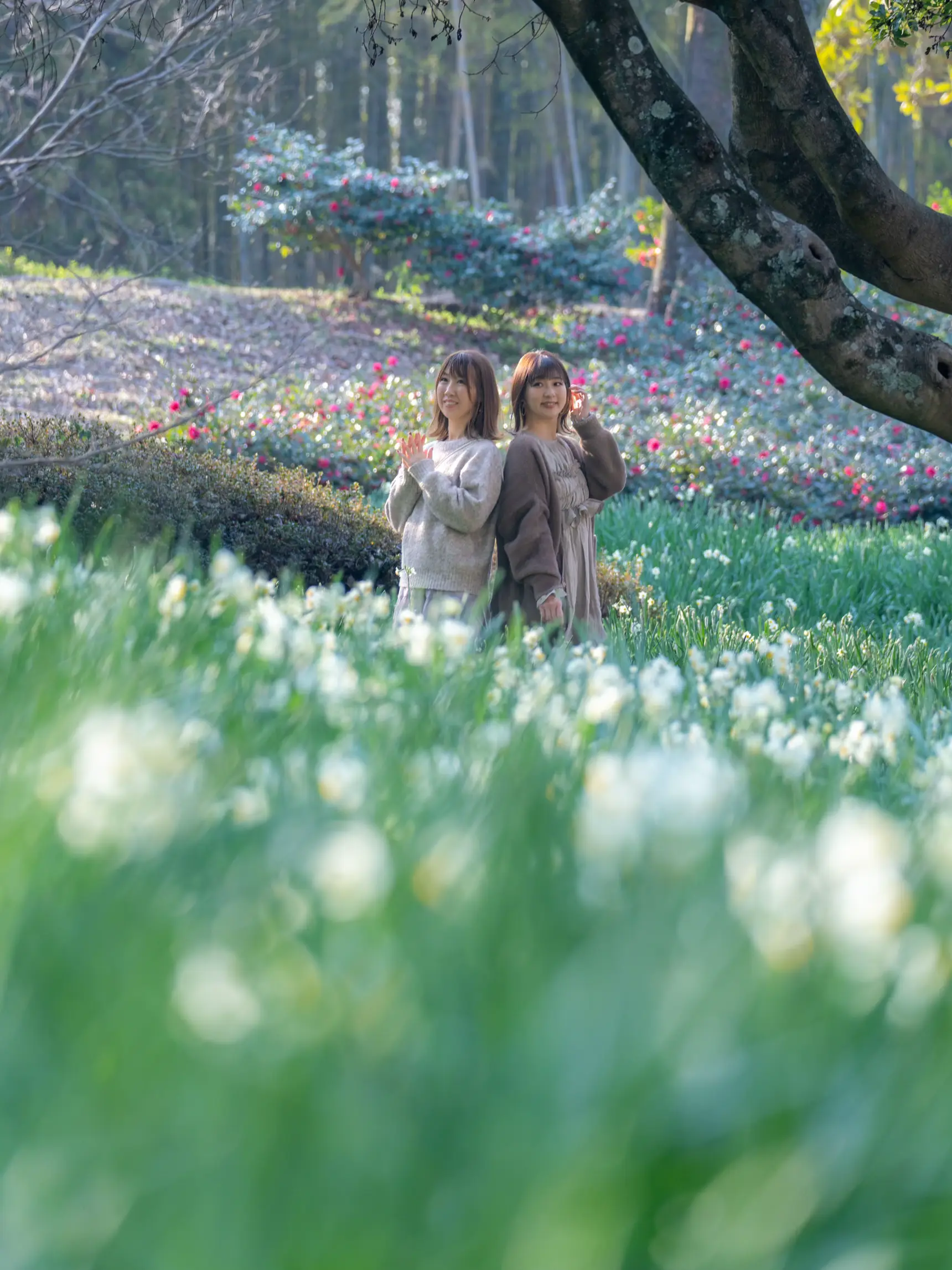 ここ知ってる！？入園料無料 蜻蛉池公園 水仙が見頃です | YUU ️絶景1人旅🚗が投稿したフォトブック | Lemon8