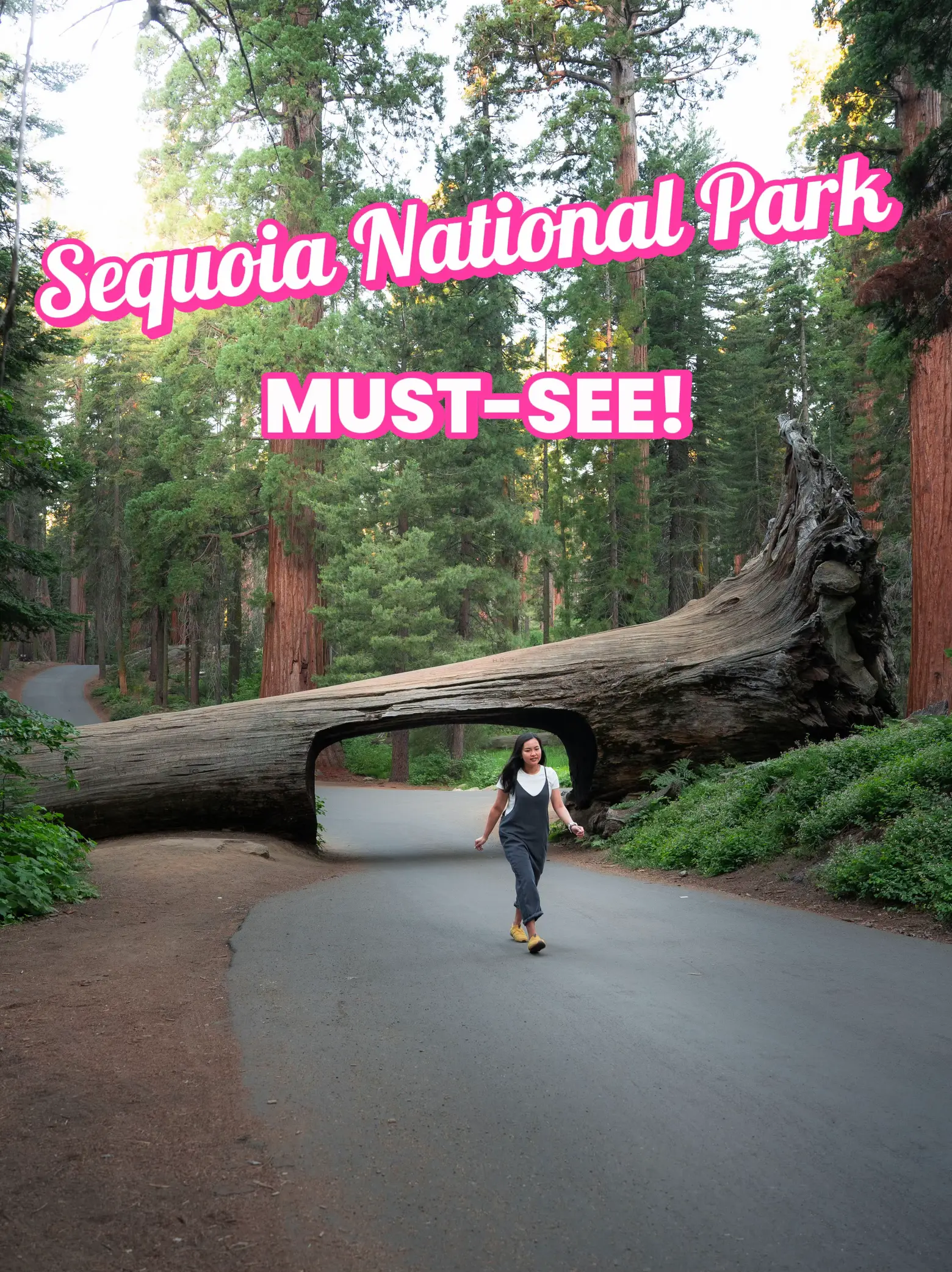 Sequoia National Park Must-see! | แกลเลอรีที่โพสต์โดย GiGi | Lemon8