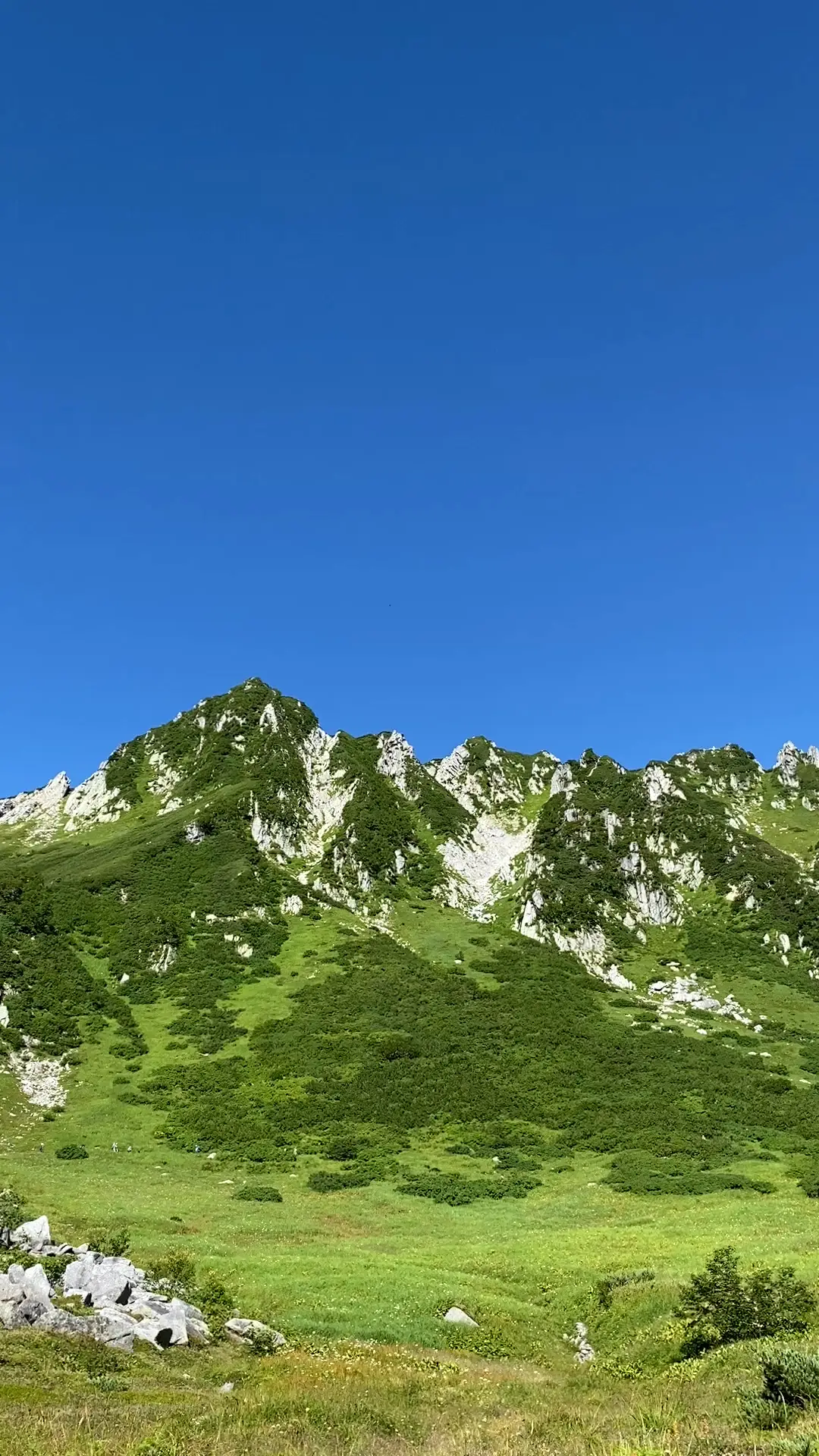 千畳敷カール 🚶2023.8.11 おでかけ記録 #千畳敷 | pentonoteの投稿動画 | Lemon8