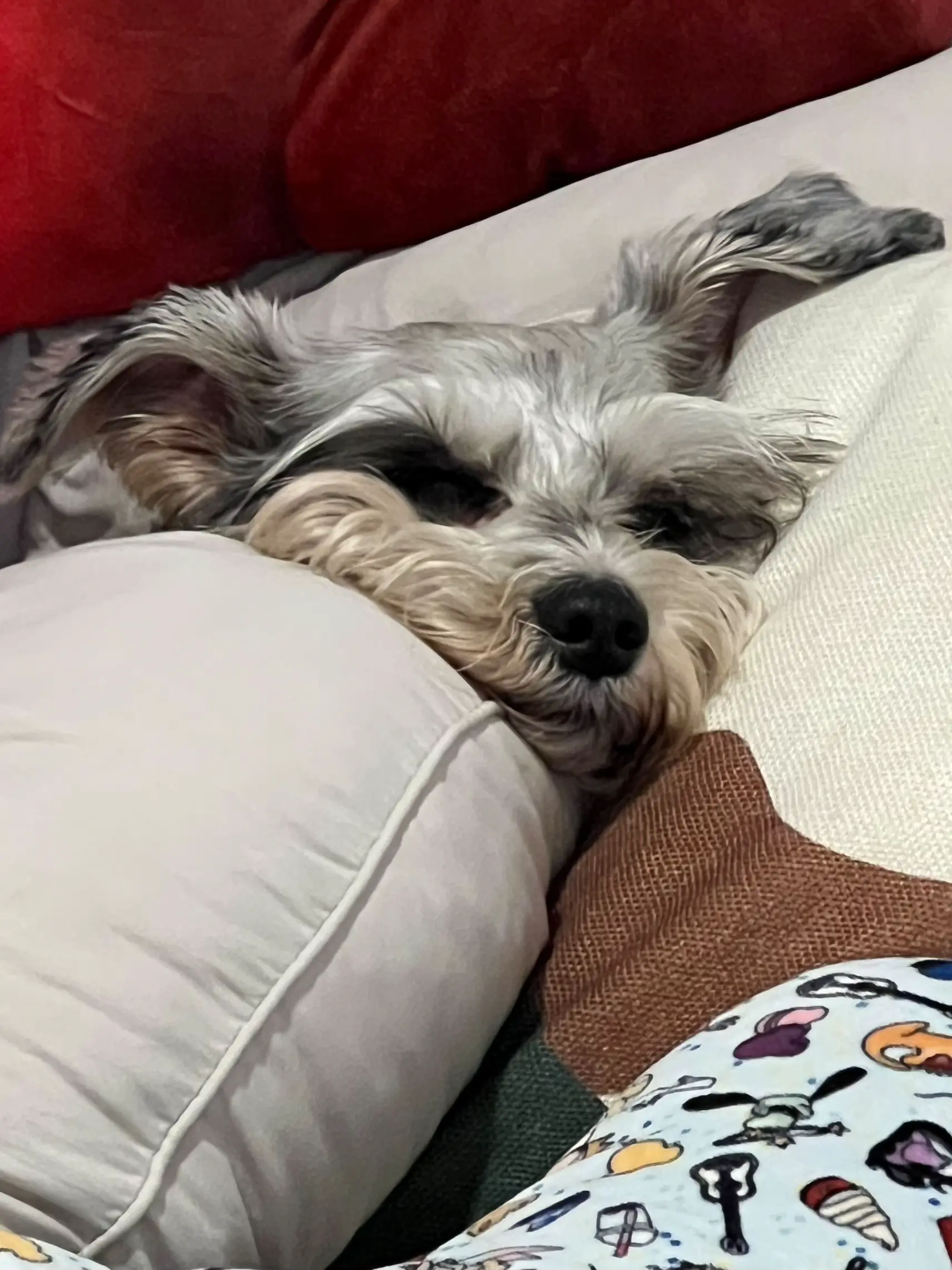 See you later 2023 💕 | Gallery posted by JamminSteph | Lemon8