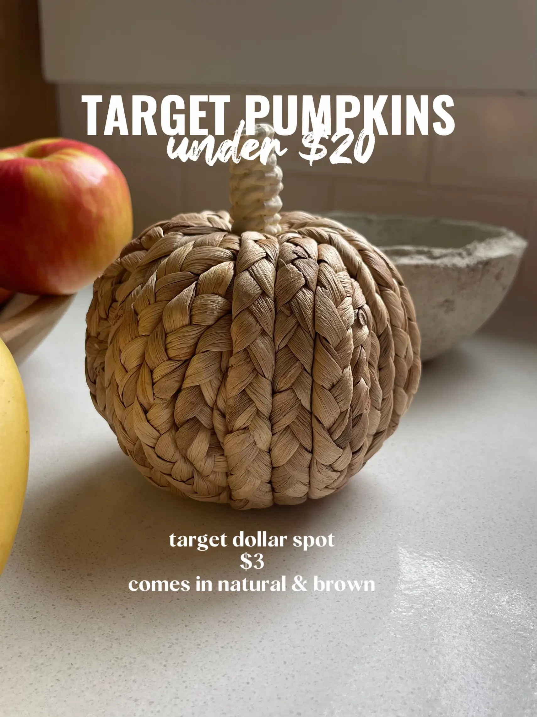 TARGET PUMPKINS | Gallery posted by HIGHLANDS HOME | Lemon8