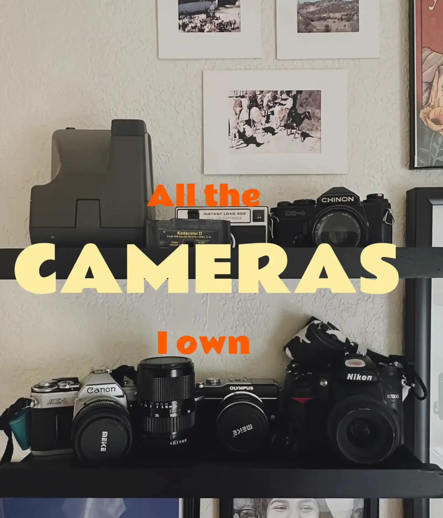 CAMERAS | Gallery posted by ecele2003 | Lemon8