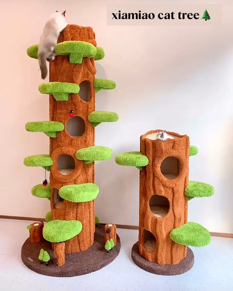 Magic Forest Series Cat Tree | Video published by Xiamiao | Lemon8