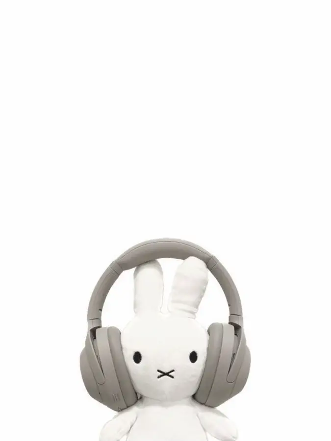 Miffy Wallpaper inspo 4 you! | Gallery posted by 𝓗𝓪𝓾𝓷𝓽𝓮𝓭 | Lemon8