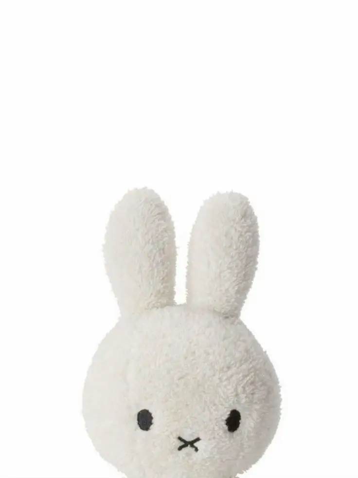 Miffy Wallpaper inspo 4 you! | Gallery posted by 𝓗𝓪𝓾𝓷𝓽𝓮𝓭 | Lemon8