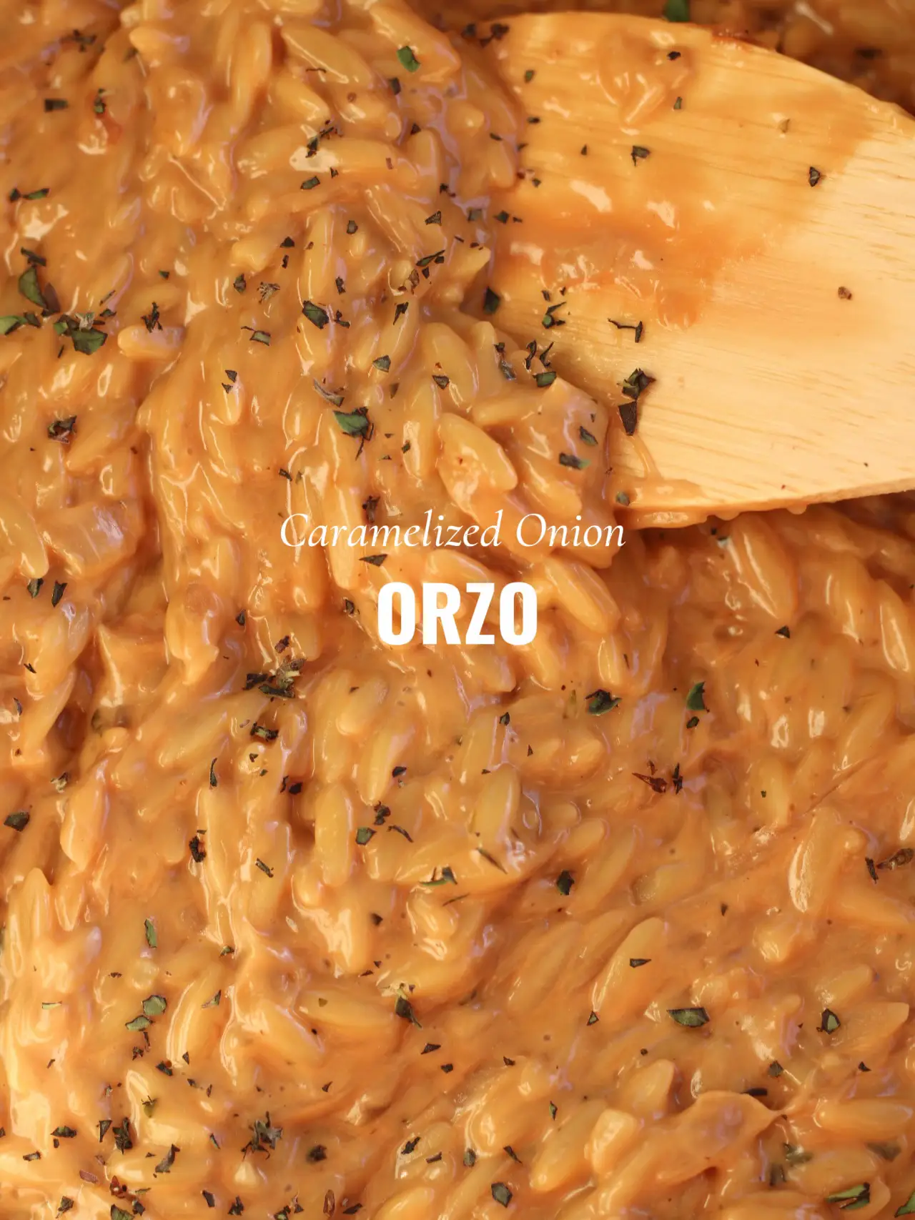 One pot caramelized onion orzo | Video published by soph | Lemon8