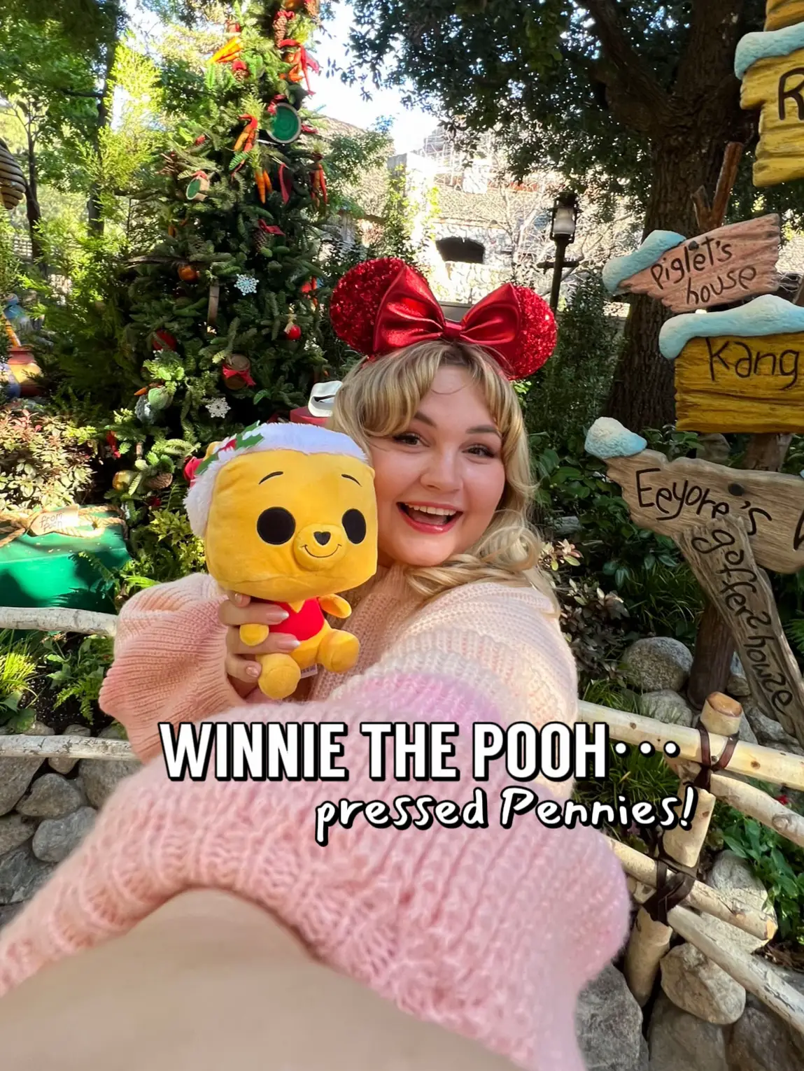 Cheapest souvenir for Winnie the Pooh fans…🍯 | Video published by Pincessshannon | Lemon8