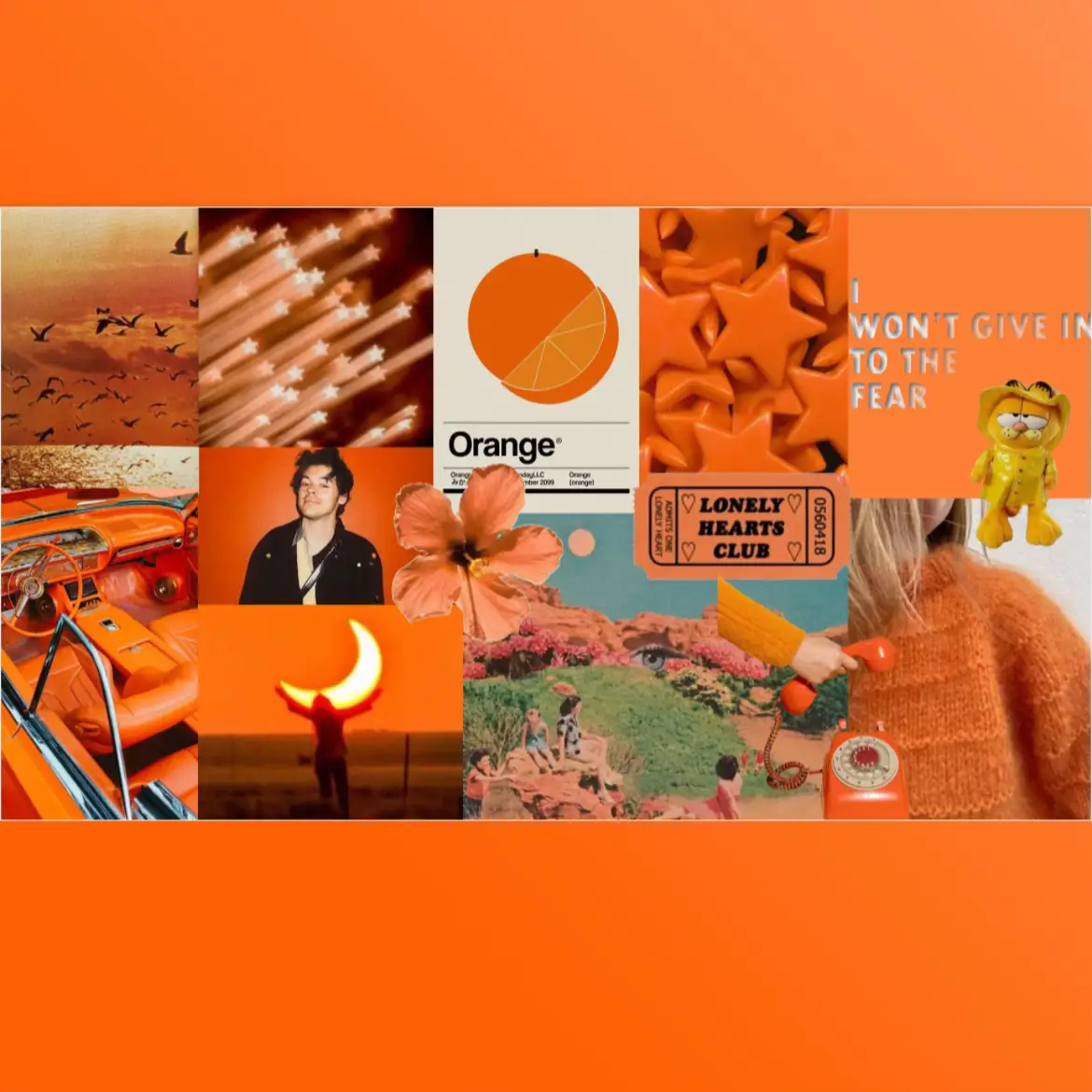 orange vibes | Gallery posted by amanda smiles | Lemon8