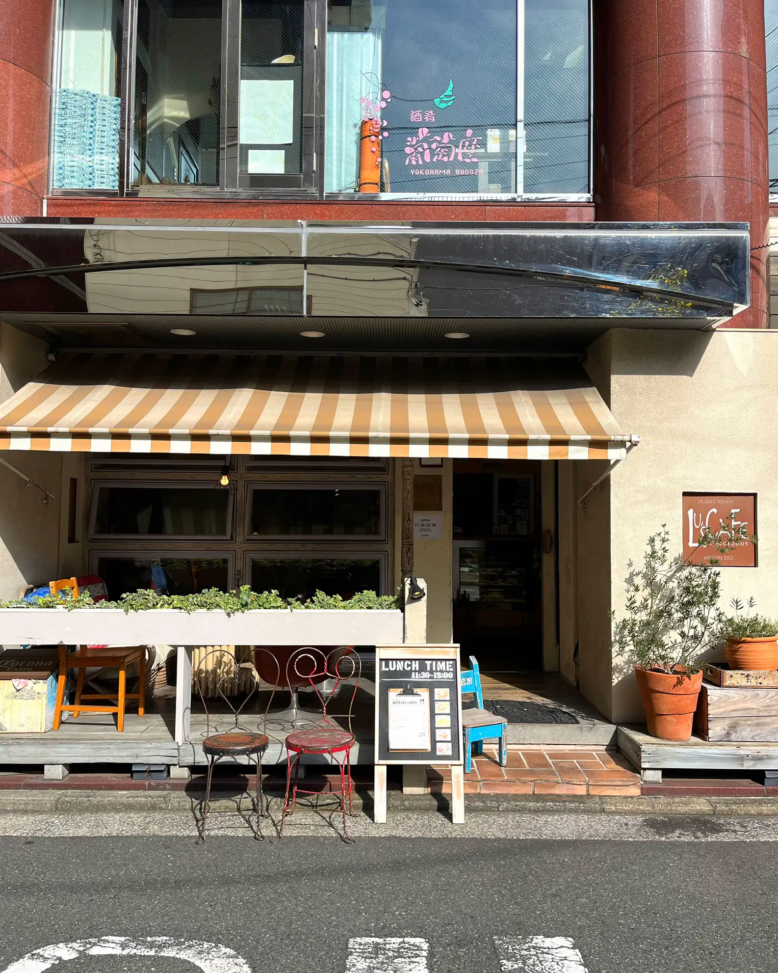 ฉันต้องการเก็บเป็นความลับจริงๆ ยืนยันซ้ำ ๆ สถานีโยโกฮาม่าคาเฟ่ | แกลเลอ ...