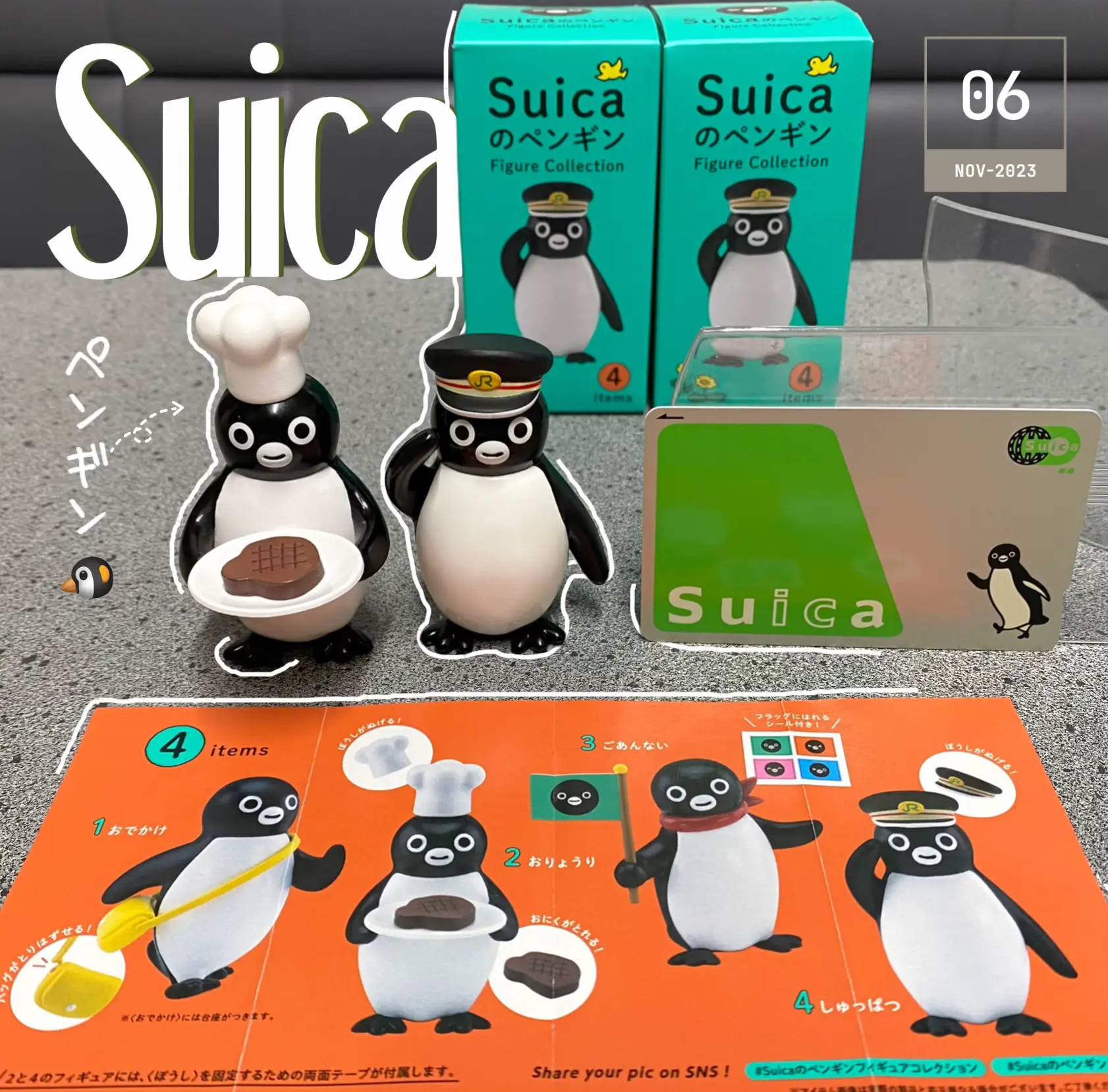 Suica | Gallery posted by レイ | Lemon8