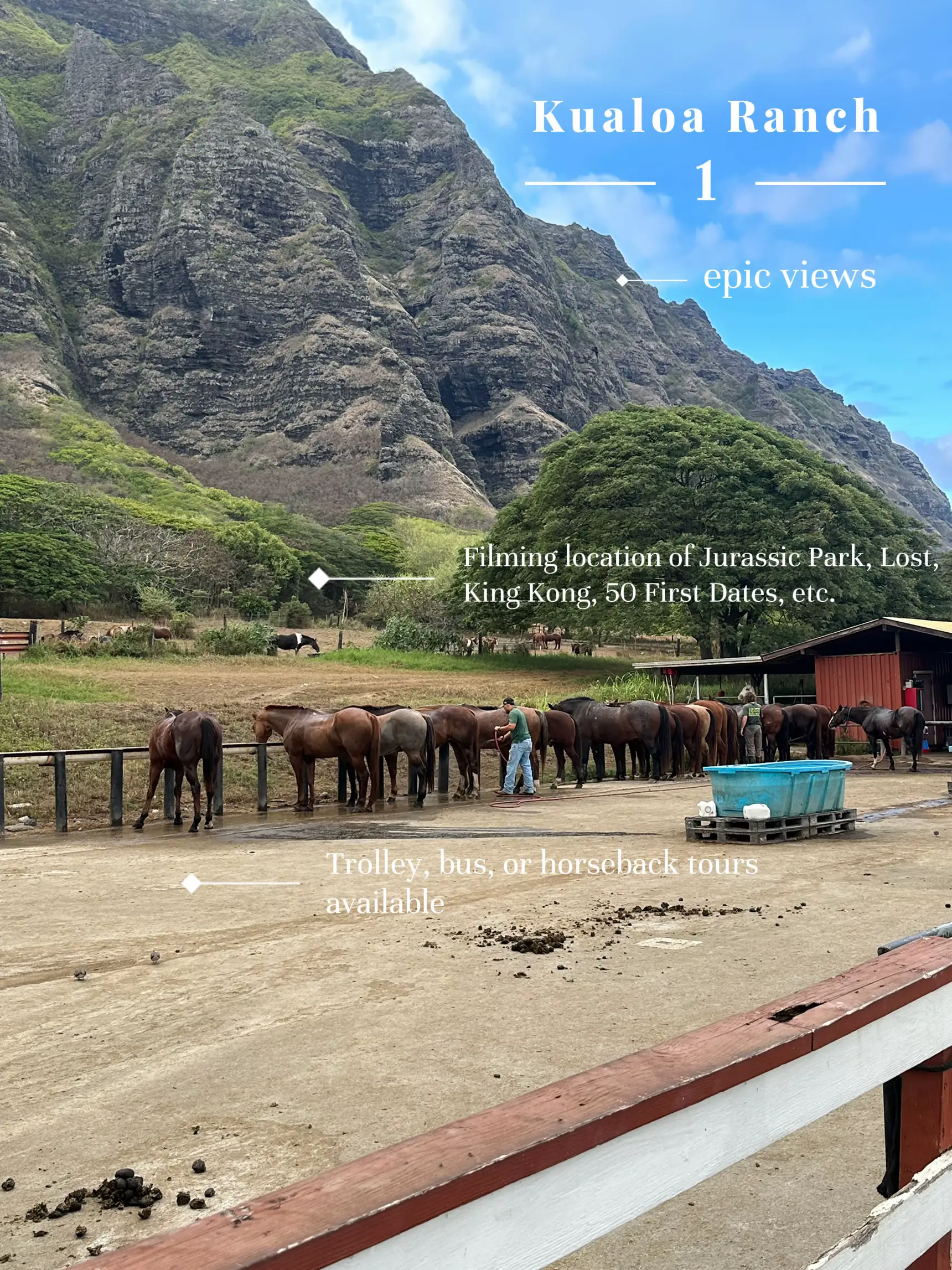 Things to do in O’ahu, HI | Gallery posted by Natalie | Lemon8