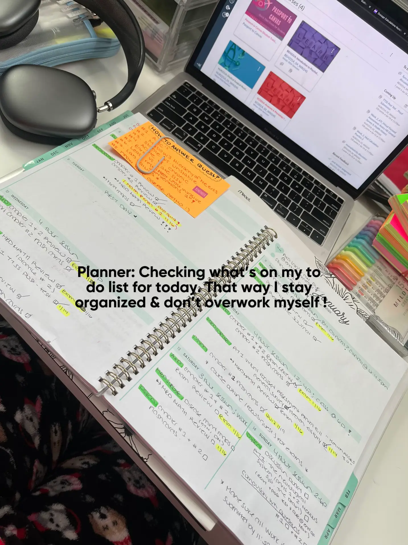 Study with Skz - Lemon8 Search