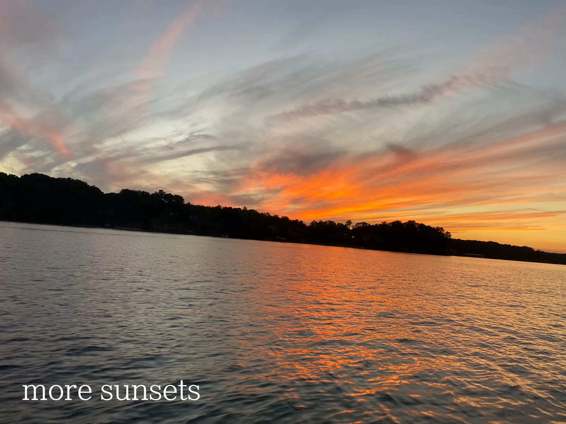 North Carolina | Gallery posted by stevi rose | Lemon8