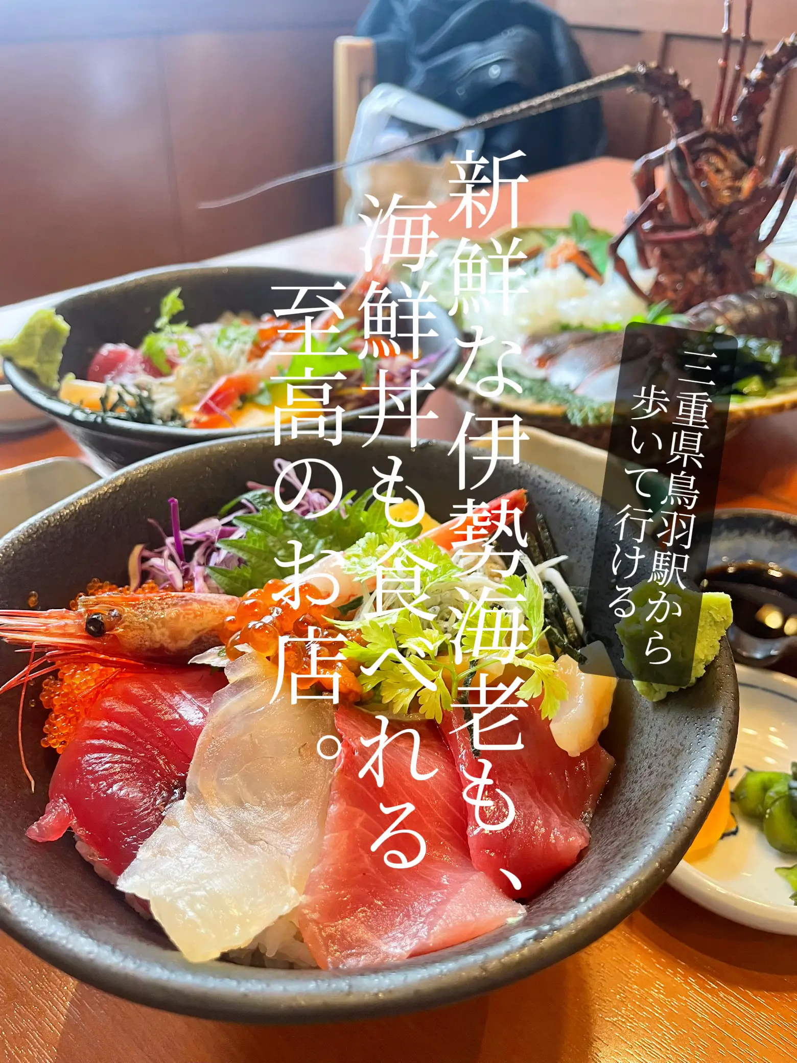 【三重県鳥羽駅】新鮮な伊勢海老も、海鮮丼も食べれる至高のお店。 | ひろ_子供と楽しむグルメが投稿したフォトブック | Lemon8