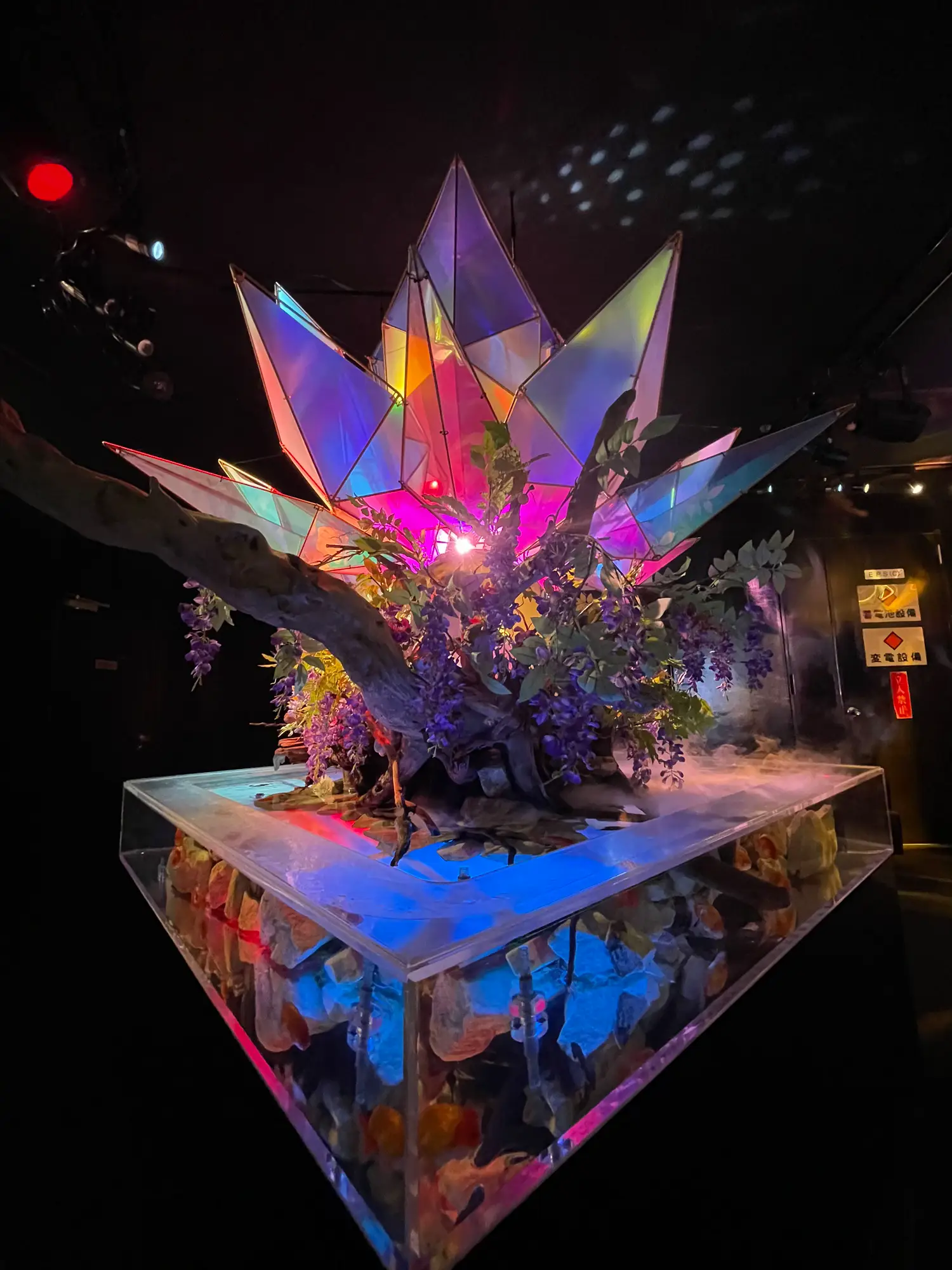 พิพิธภัณฑ์นาราคิงโย | แกลเลอรีที่โพสต์โดย Michelle Ai | Lemon8