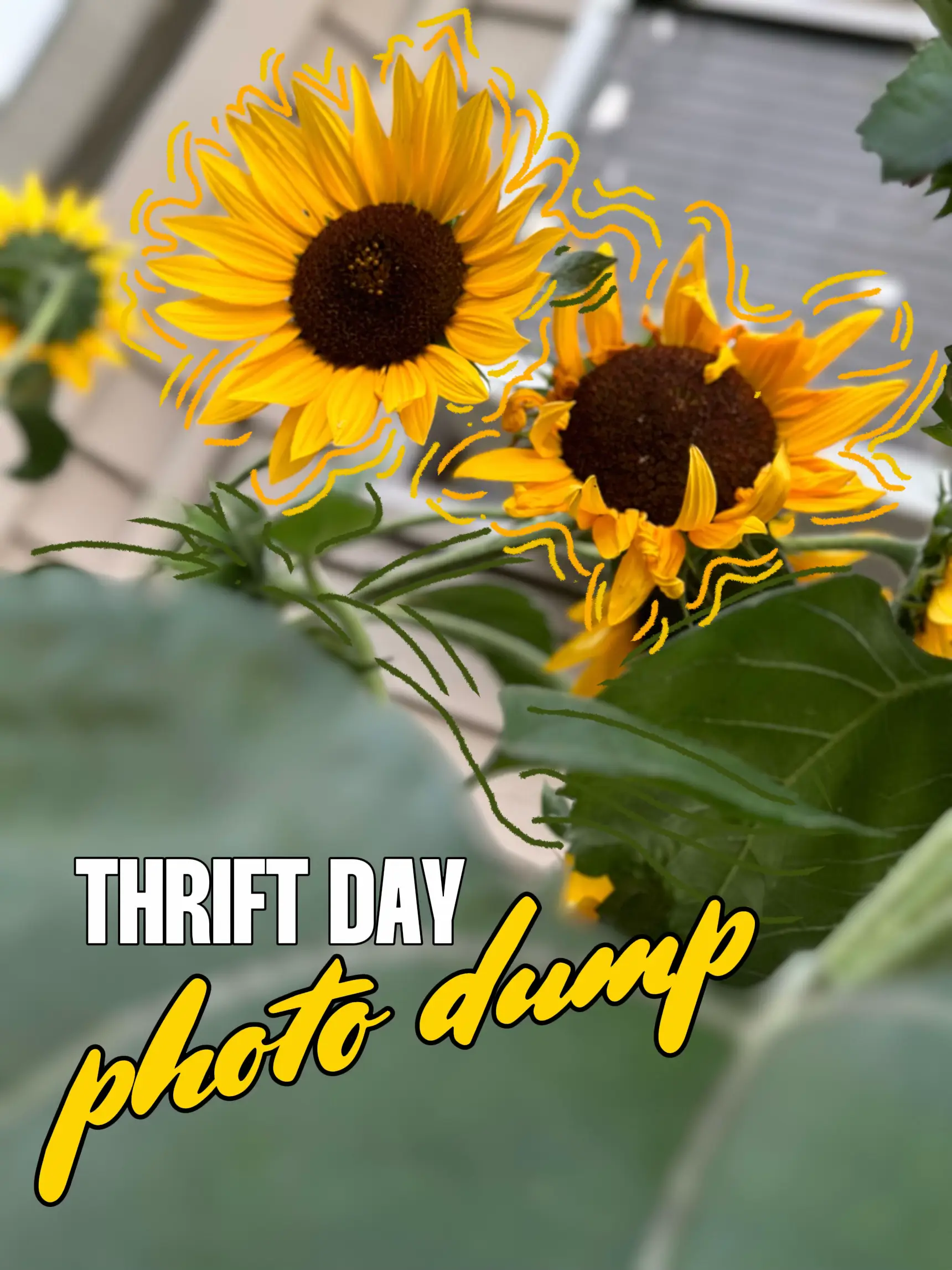 thrift day photo dump | Gallery posted by citizo | Lemon8