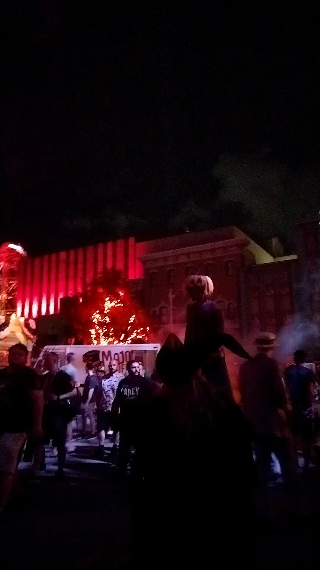 HHN! | วิดีโอที่เผยแพร่โดย Hpuff_In_Disney | Lemon8