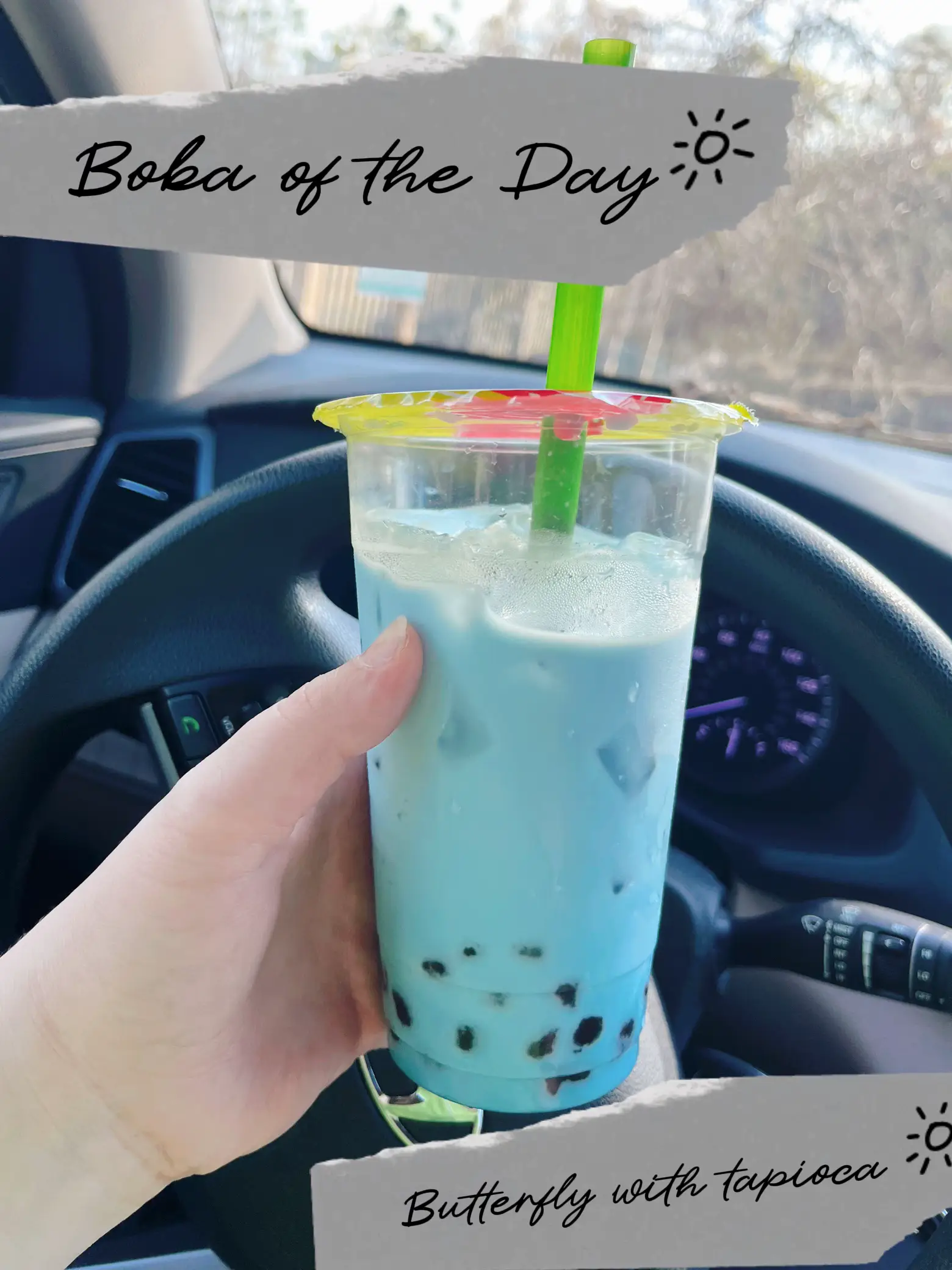 Boba of the Day 🧋 | Gallery posted by Kadie Miller | Lemon8