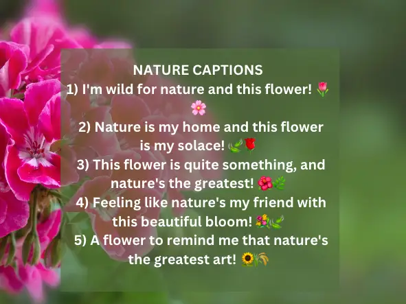 Nature Caption Ideas🔥 | Gallery posted by CaptionsLab | Lemon8
