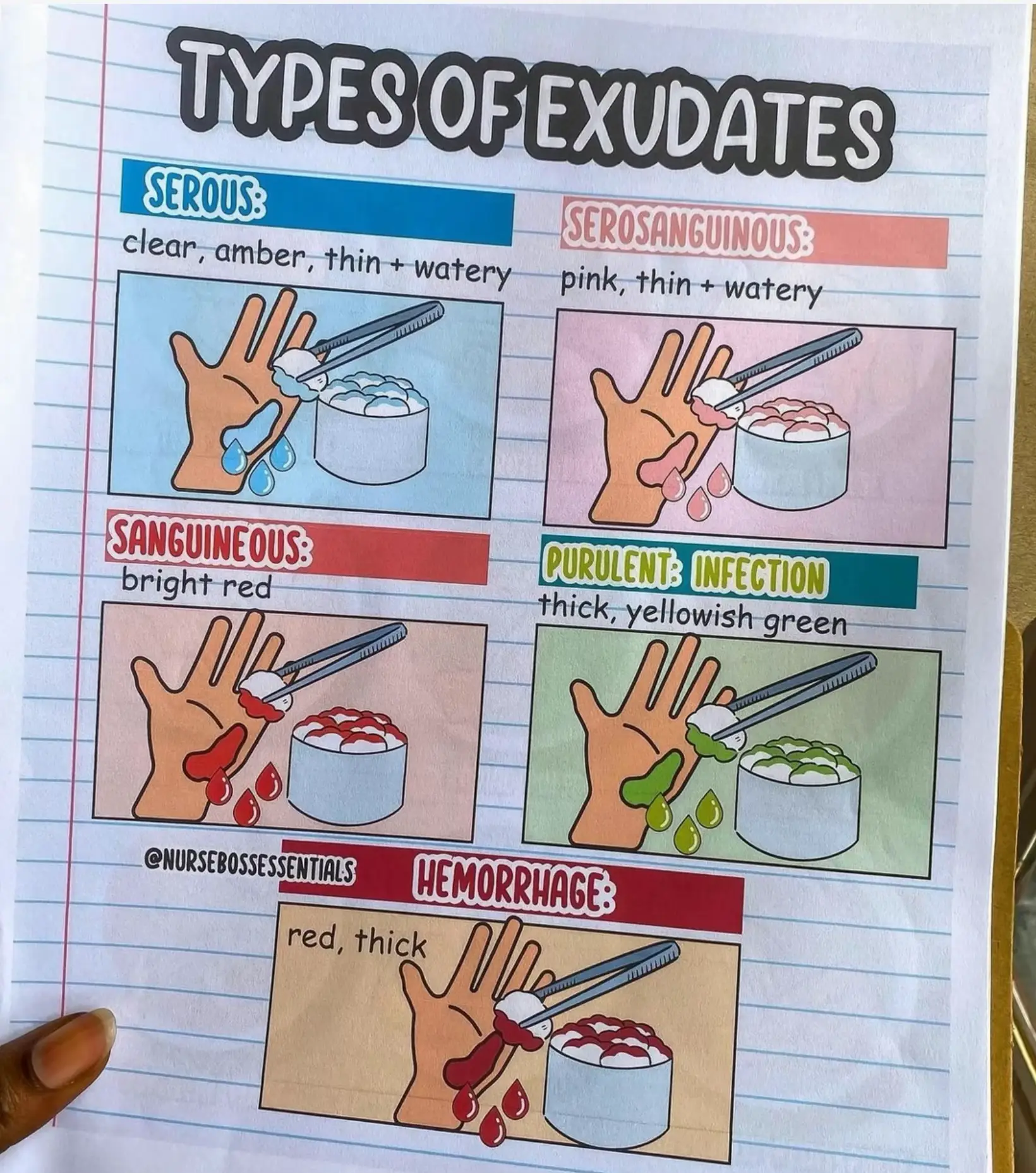 nclex rn result - Lemon8 Search