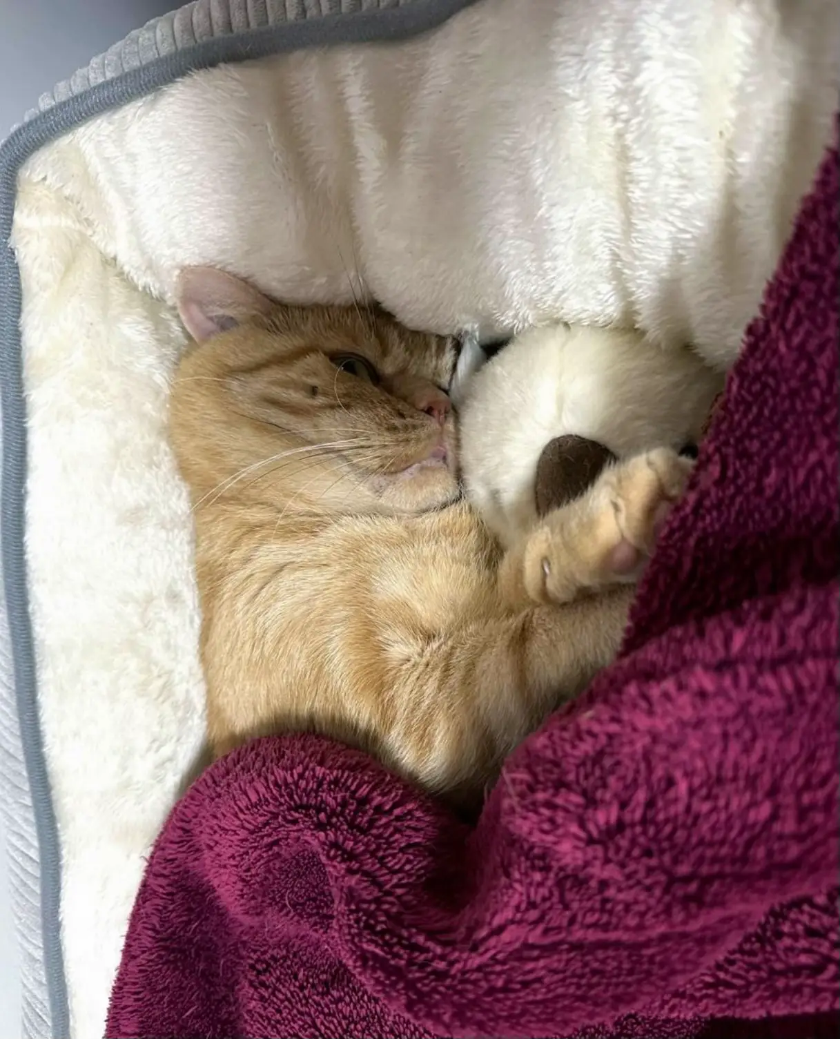 bunny_lynがコンテンツを投稿しました。確認しましょう | 💓Lyn Lyn💓🍋🍋が投稿したフォトブック | Lemon8