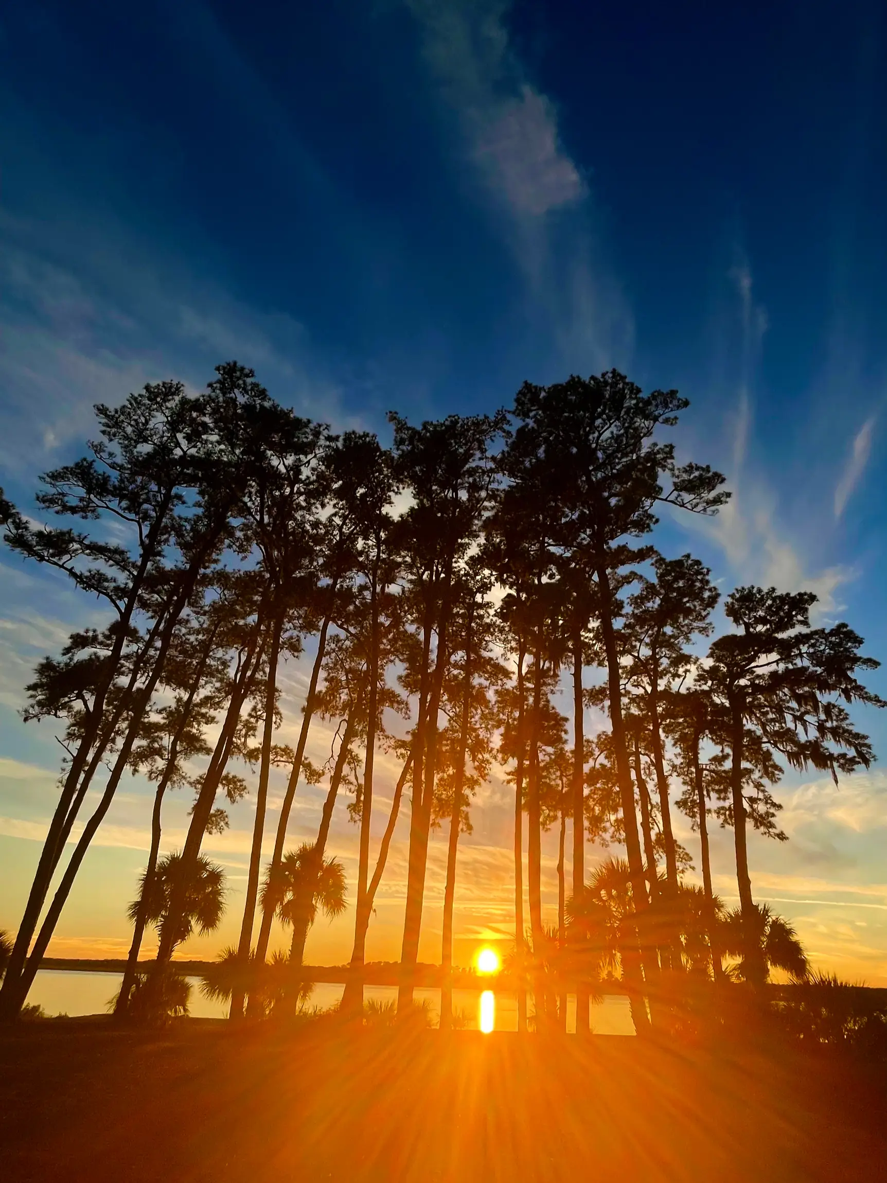 Some of the Best Sunsets I’ve Seen this Year 🌞 | Gallery posted by Gray ...