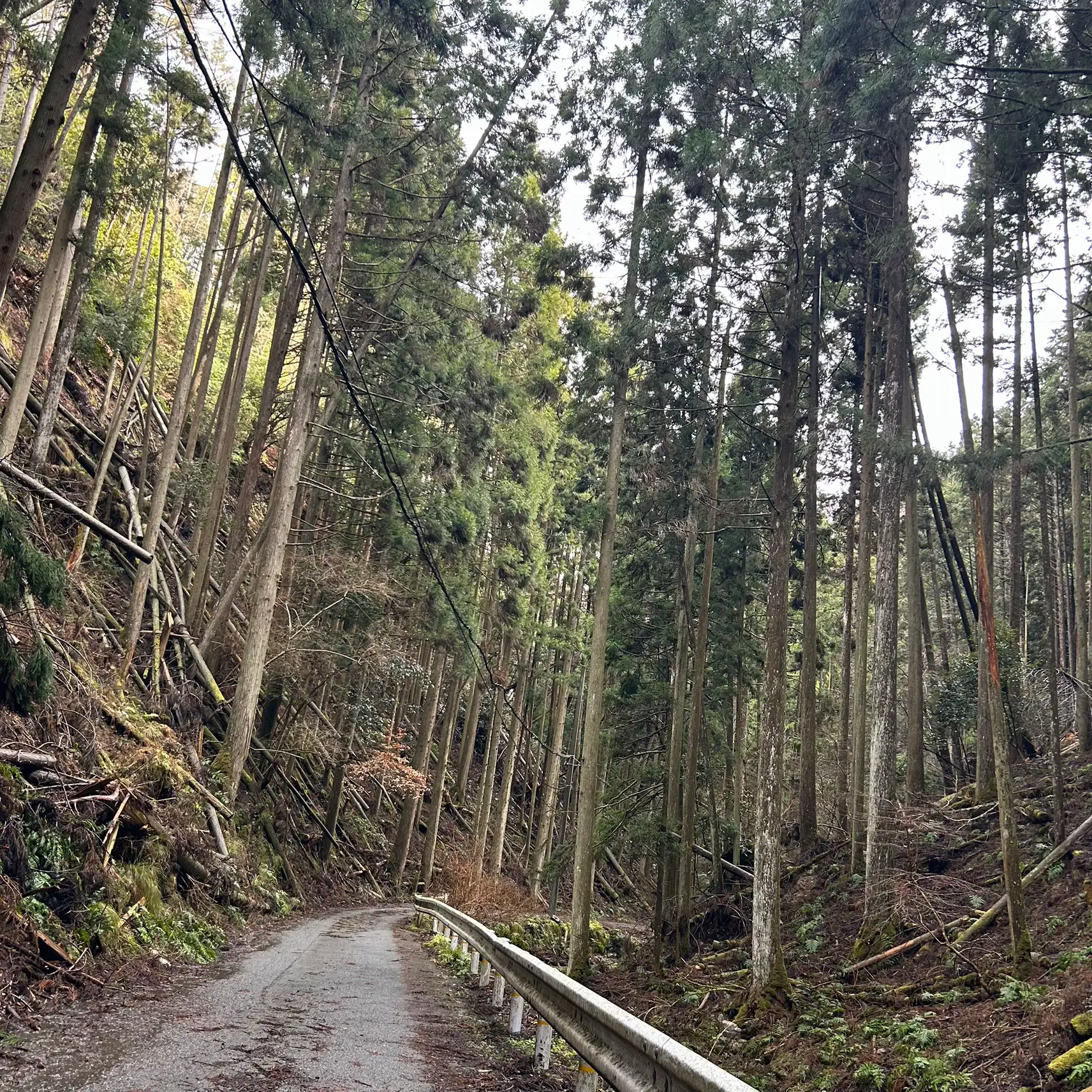 Kyoto "Iwaya Mountain Shimyoin" in a place where Kukai revered as a sacred place | Gallery ...
