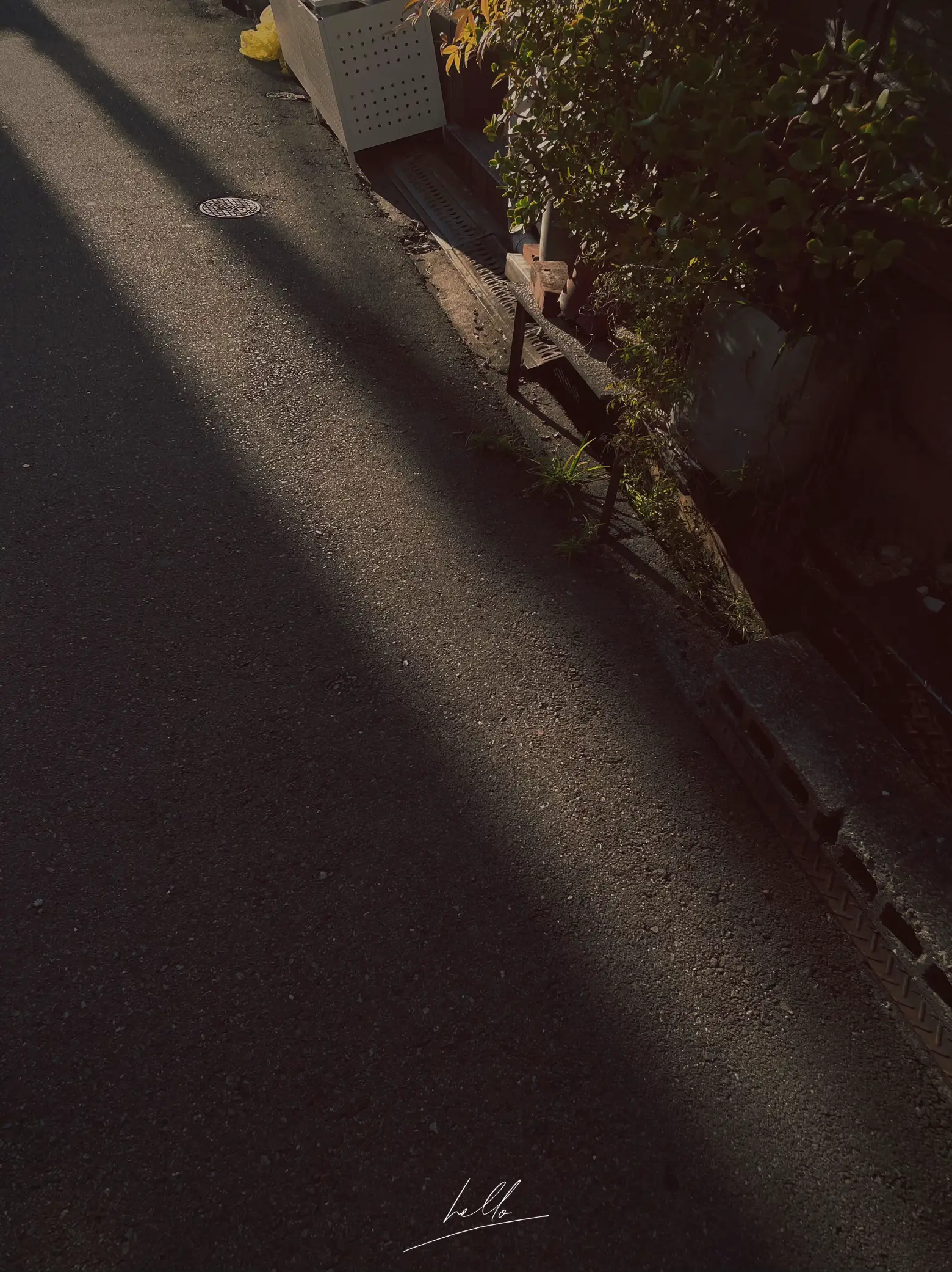 光が綺麗💐iPhoneでエモい写真 | RYOが投稿したフォトブック | Lemon8