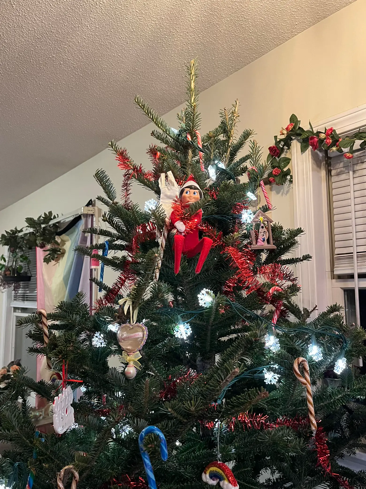 Happy holidays | Gallery posted by _asher_lake_ | Lemon8