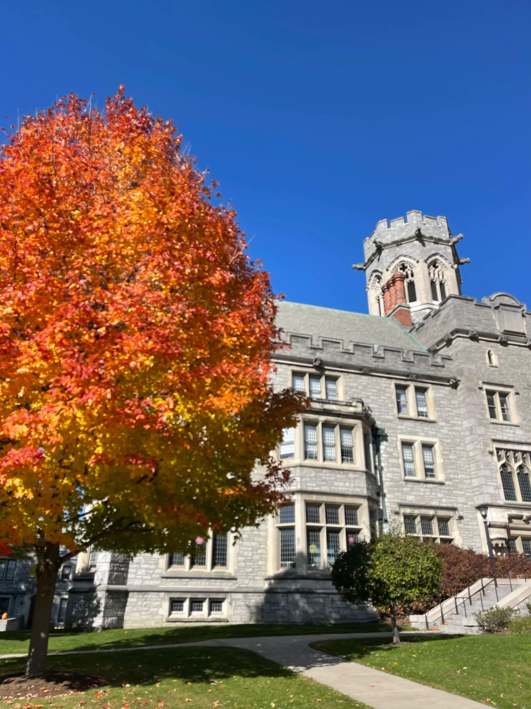 Fall Foliage | แกลเลอรีที่โพสต์โดย nature_nd | Lemon8