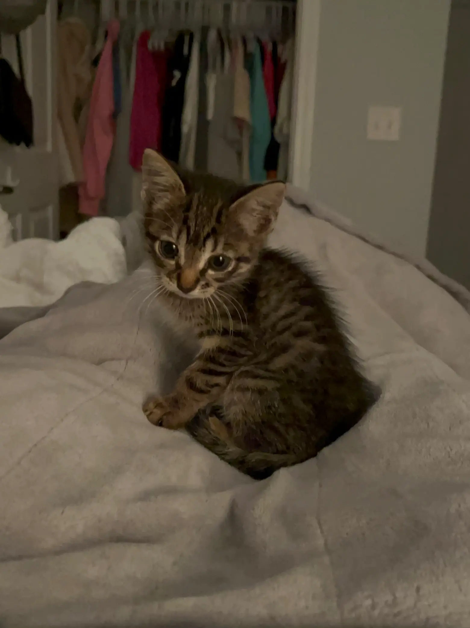 I NEED NAME SUGGESTIONS!!! | Gallery posted by katie wakefield | Lemon8