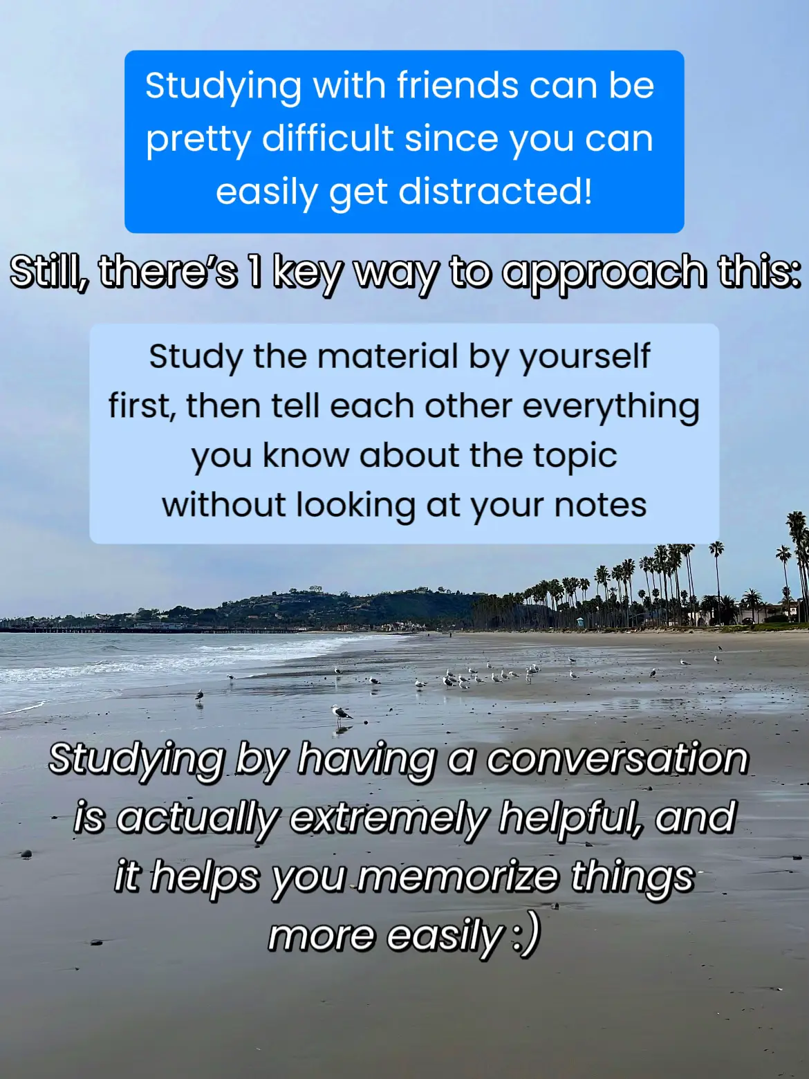 Study with Skz - Lemon8 Search