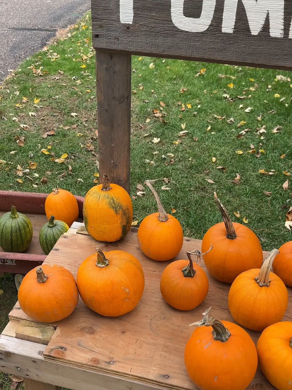 CAMERA ROLL DUMP 📸 | Gallery posted by mir 🧸 | Lemon8