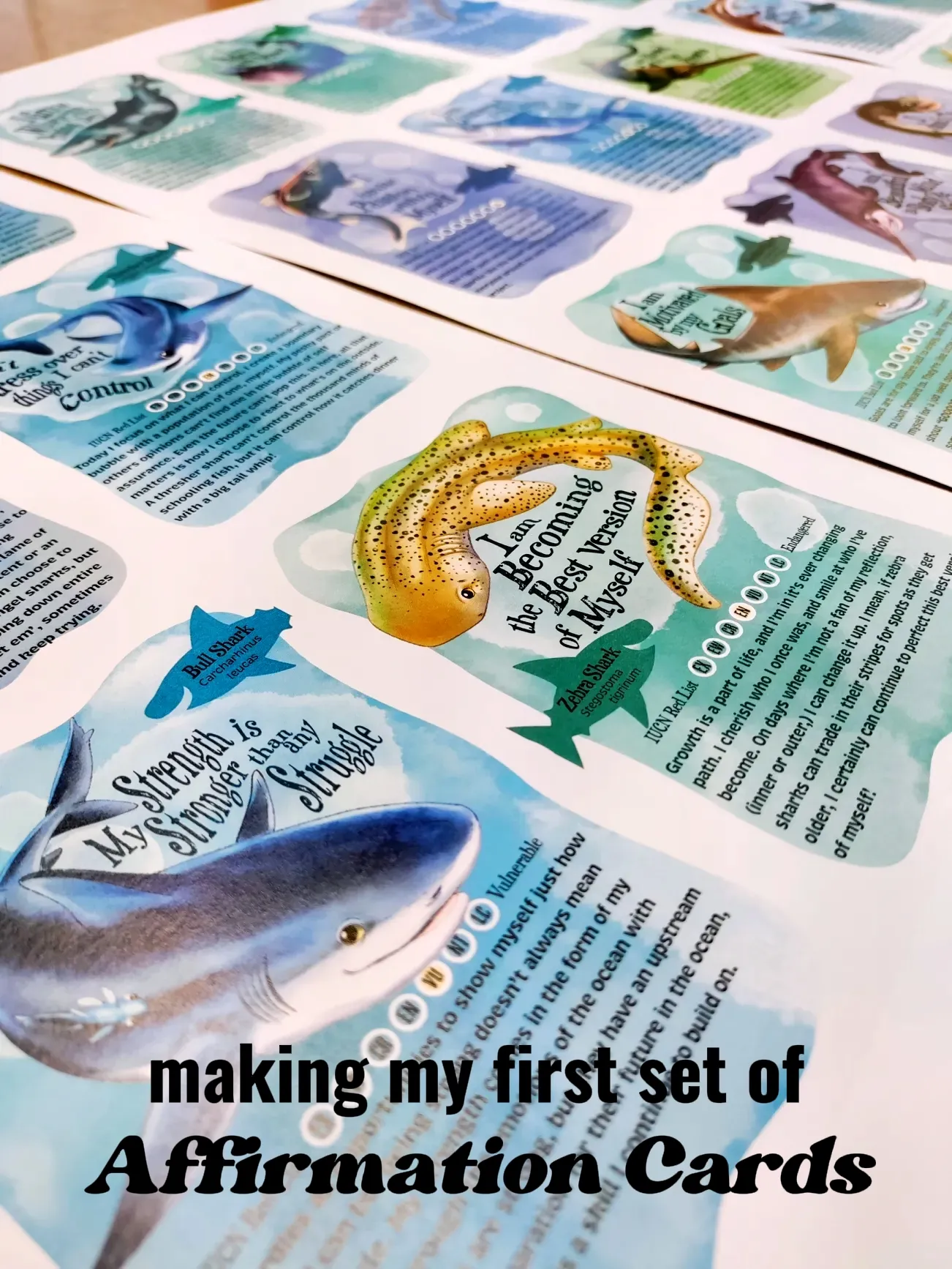 Shark Affirmation cards gone to print 🦈 | แกลเลอรีที่โพสต์โดย ...