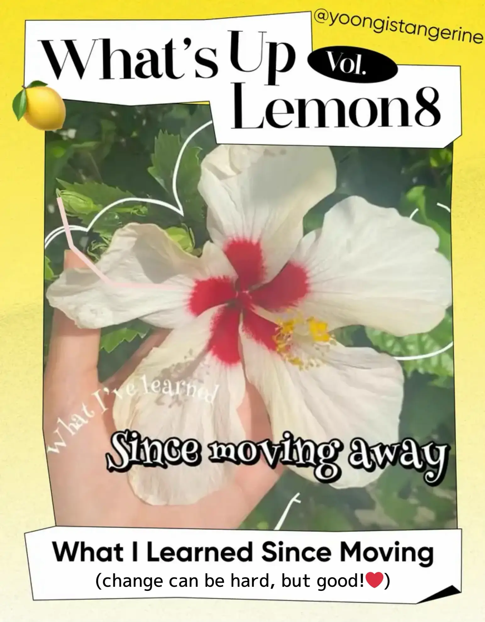 🍋What’s up Lemon8 Vol.3🍋 | แกลเลอรีที่โพสต์โดย Captain Lemon8 | Lemon8
