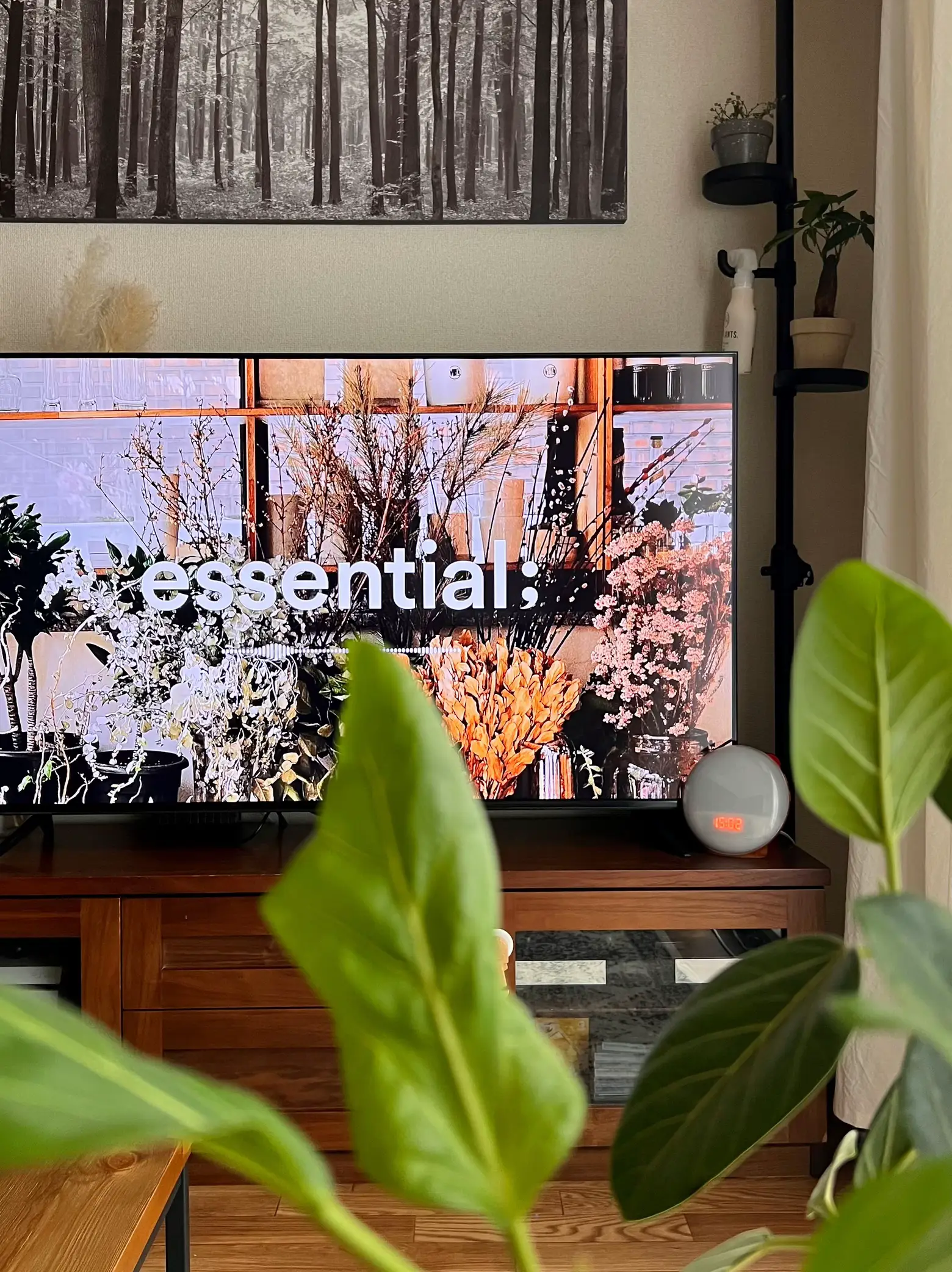 เช่าห้องฐานสีน้ำตาล 2LDK (ก่อน) | แกลเลอรีที่โพสต์โดย mirei￤窓の大きいリビング | Lemon8