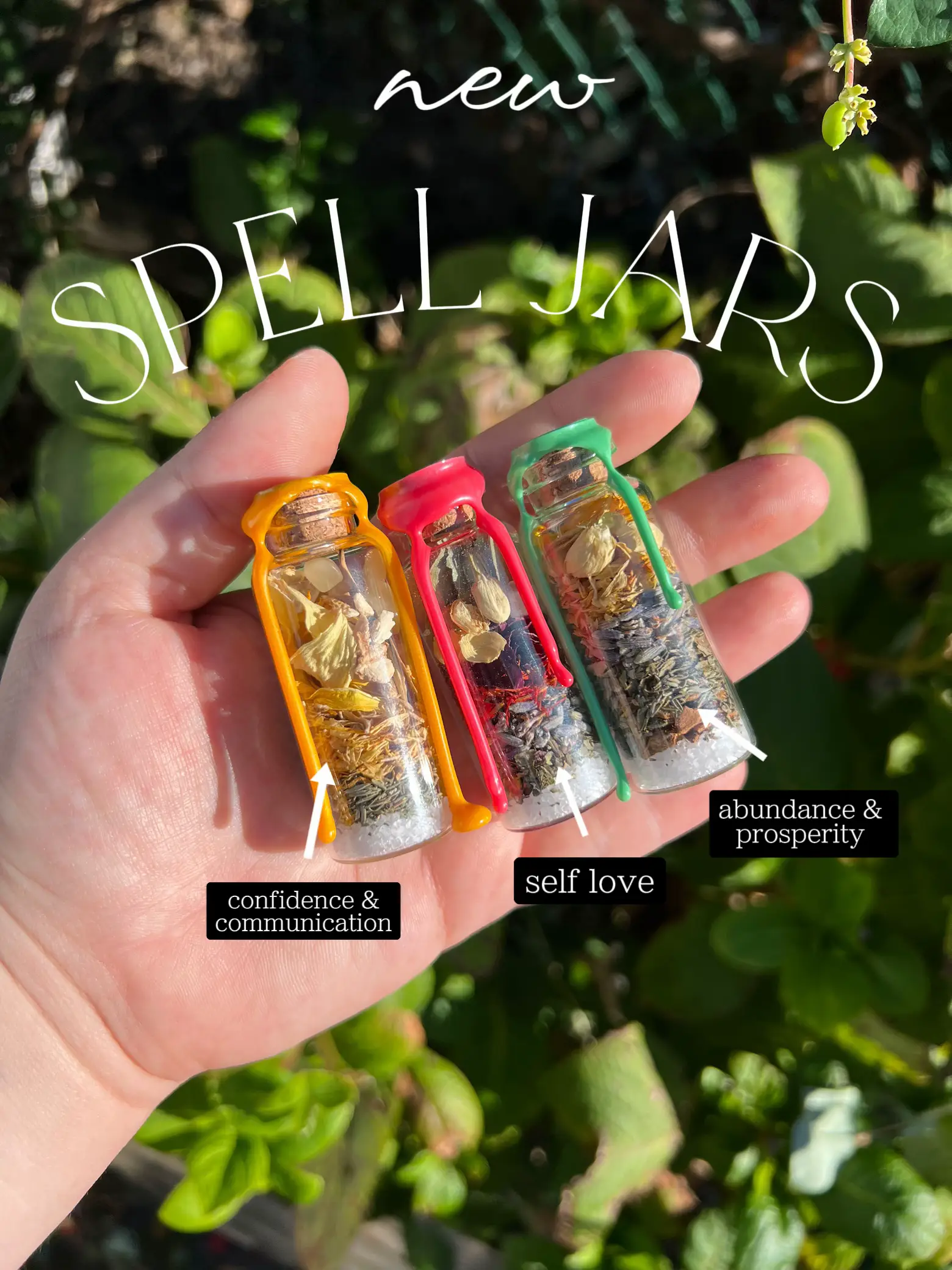 mini spell jars | Gallery posted by Alyssa Dahlia💫 | Lemon8