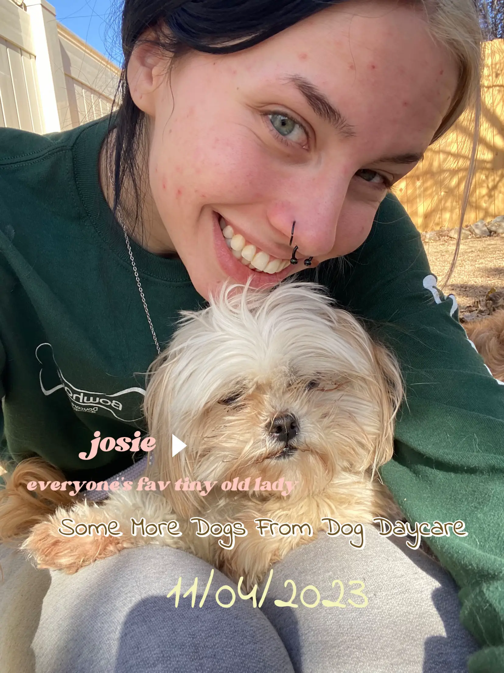 Some Dogs from Daycare That I Love | แกลเลอรีที่โพสต์โดย Jasmyn Renae ...